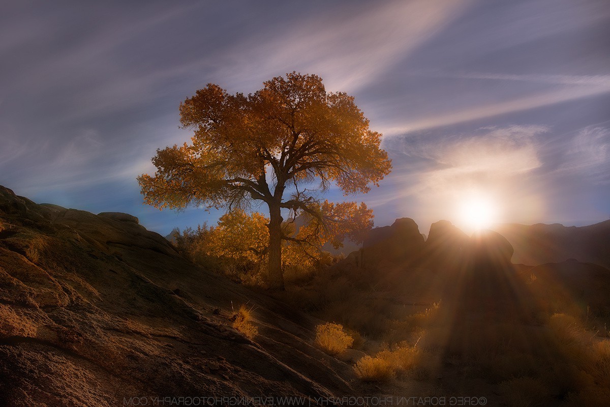Baggrunde : 1200x800 px, natur 1200x800 - wallhaven - 1001089 ...