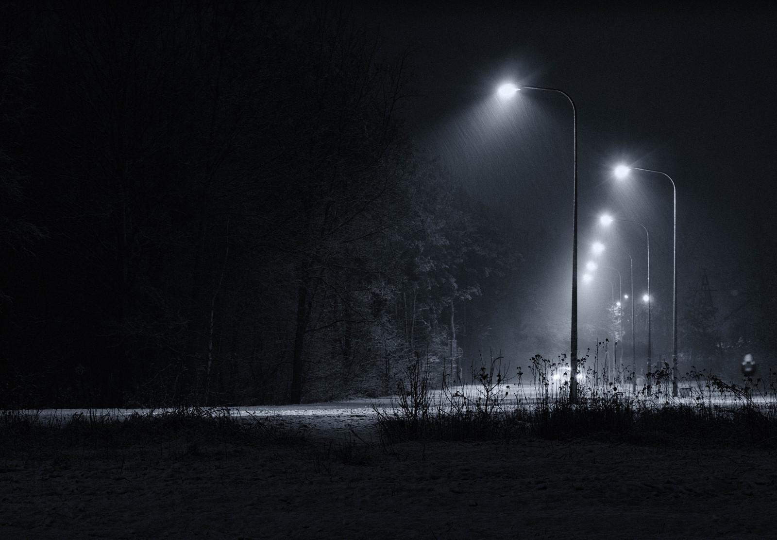 Bakgrundsbilder : skog, gatubelysningen, mörk, natt, snö, vinter ...