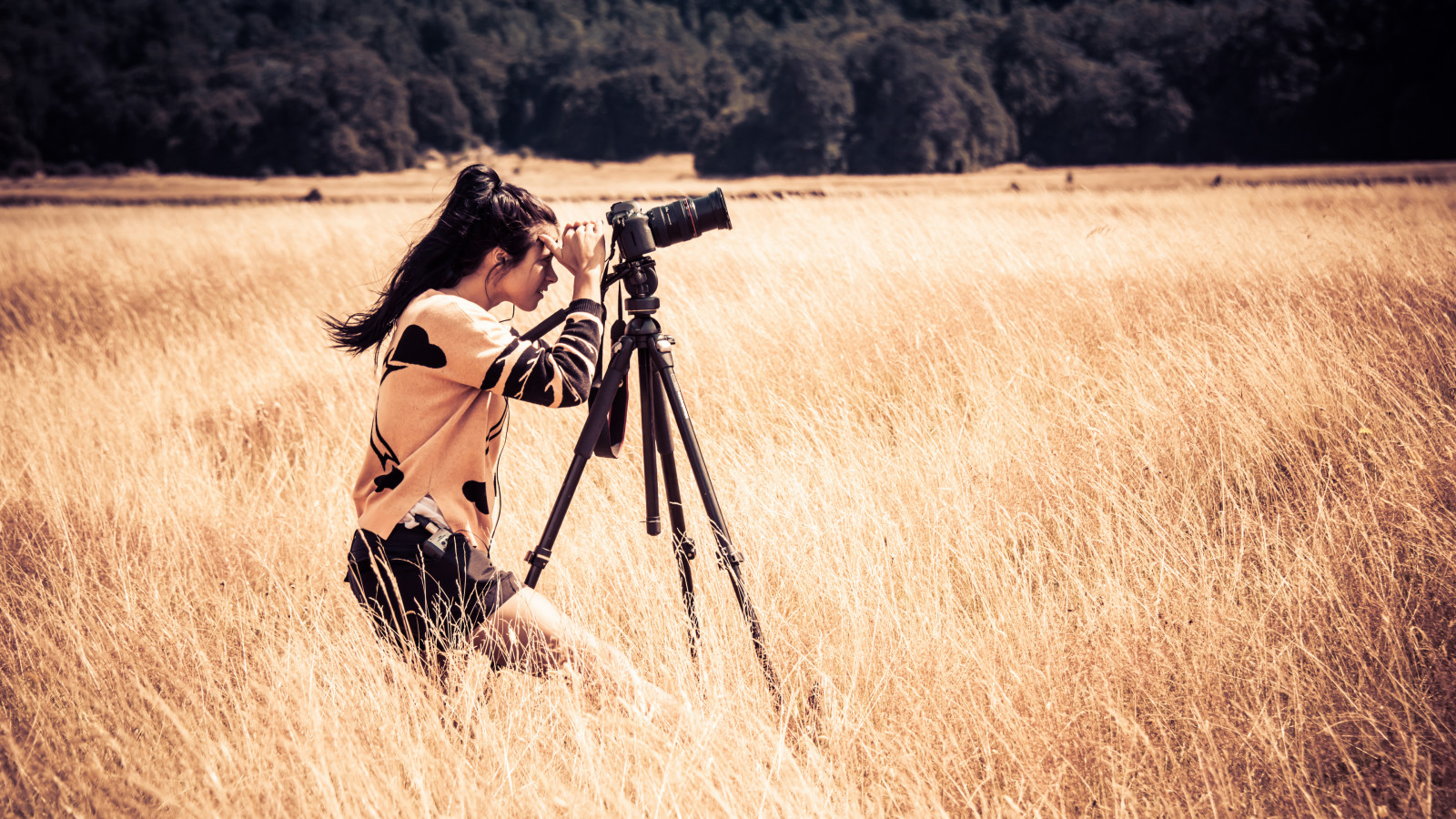 Imagini de fundal : peisaj, 4k, Noua Zeelanda 3840x2160 - Sflashy ...