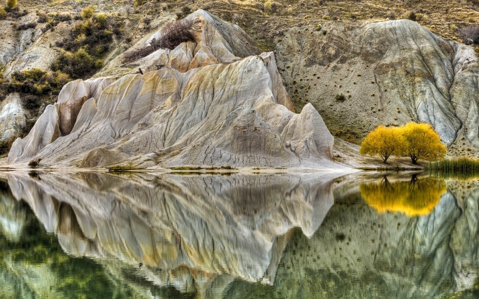 Wallpaper : trees, yellow, pair, rock, reflection, water 1920x1200 ...