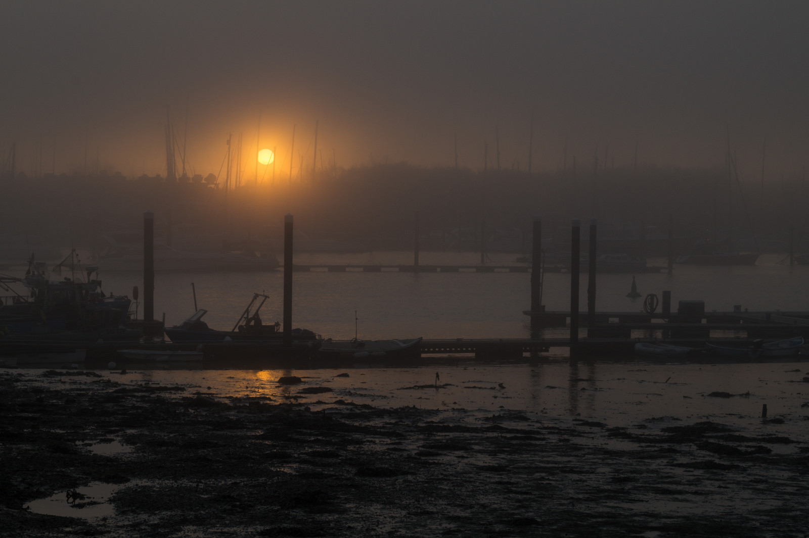 Wallpaper : fog, atmosphere, sky, mist, sunrise, morning, evening ...