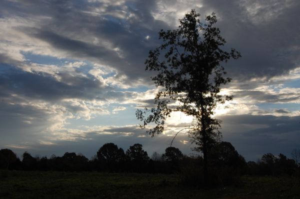 Papel De Parede Nuvens Natureza Céu Azul Lua Skyscape 4608x2240