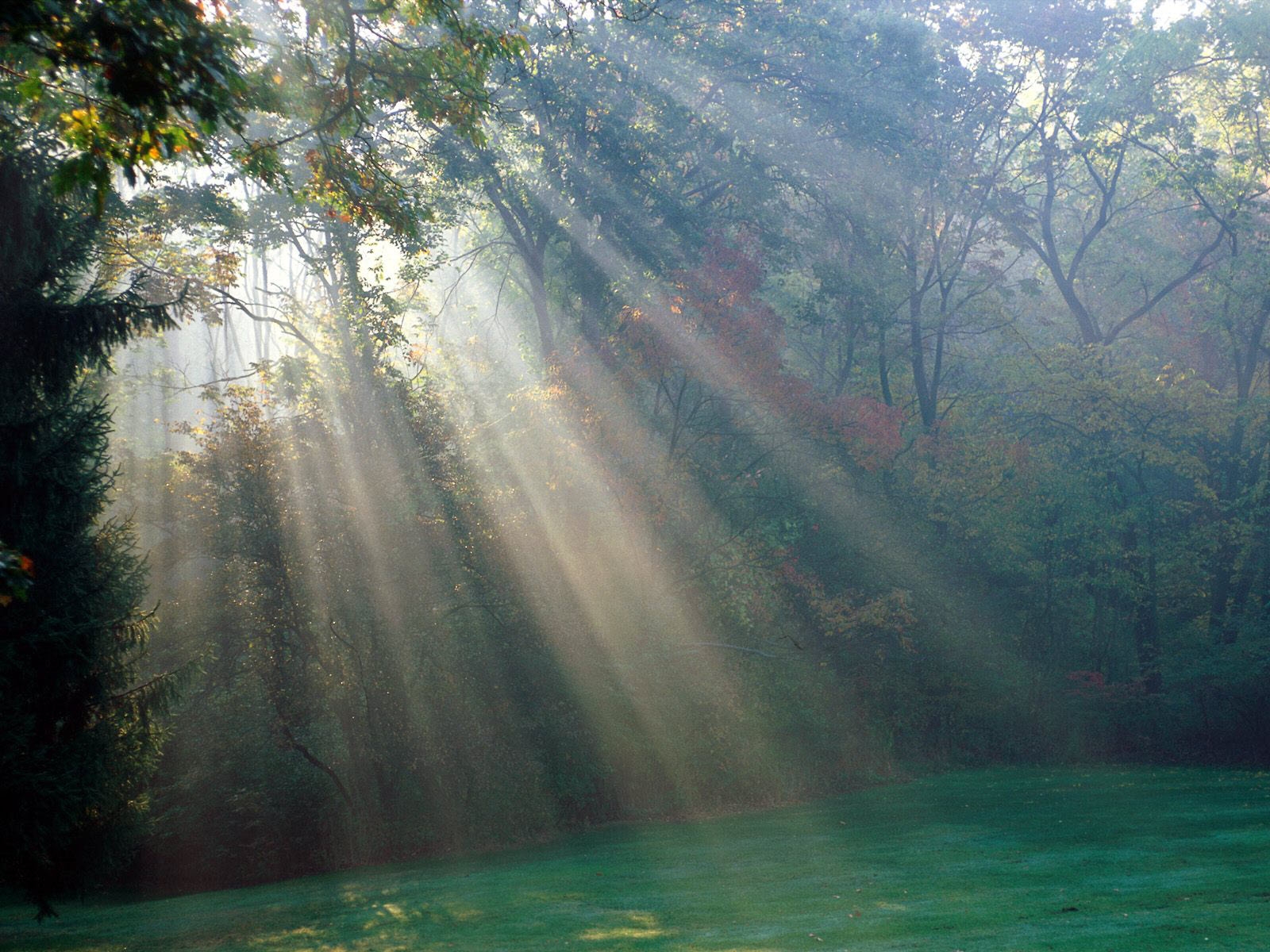 Wallpaper : Sun, beams, light, morning 1600x1200 - 4kWallpaper - 741547 ...