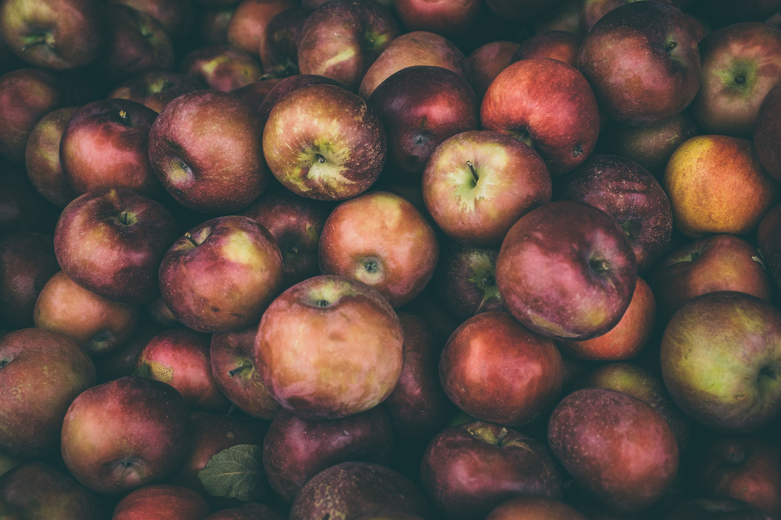 Wallpaper : autumn, food, fruit, apples 5472x3648 - - 1108655 - HD ...