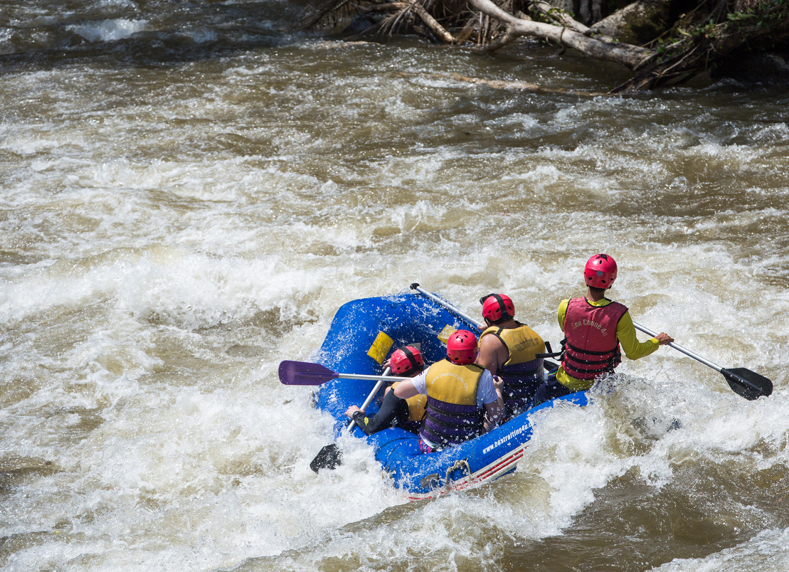Wallpaper : sports, people, boat, women, portrait, vehicle, helmet ...