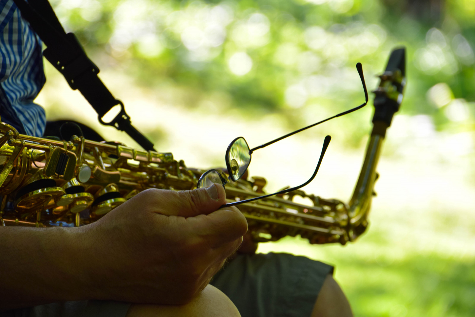 Wallpaper : trees, nature, park, musical instrument, music, green ...