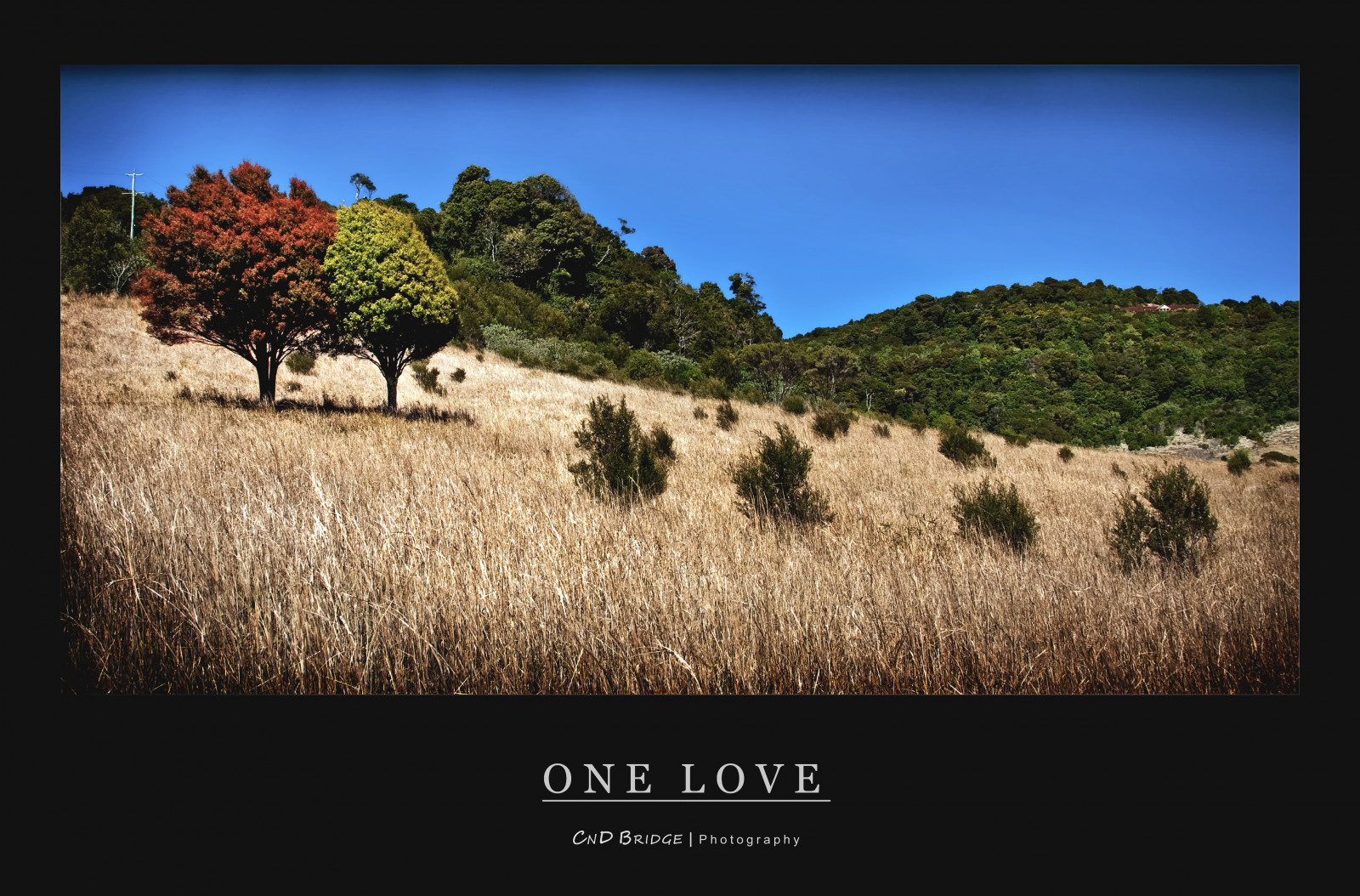Wallpaper Trees Landscape Hill Rock Nature Love Sky Plants