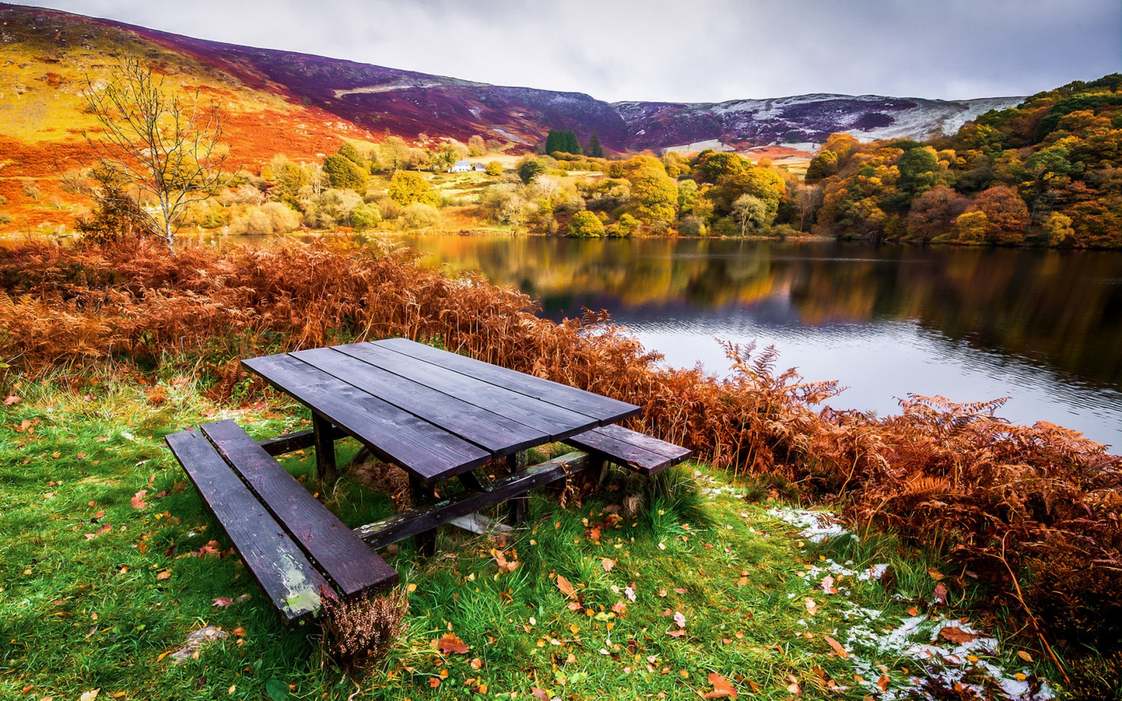 Fondos De Pantalla 1920x1200 Px Banco Lago Paisaje Naturaleza