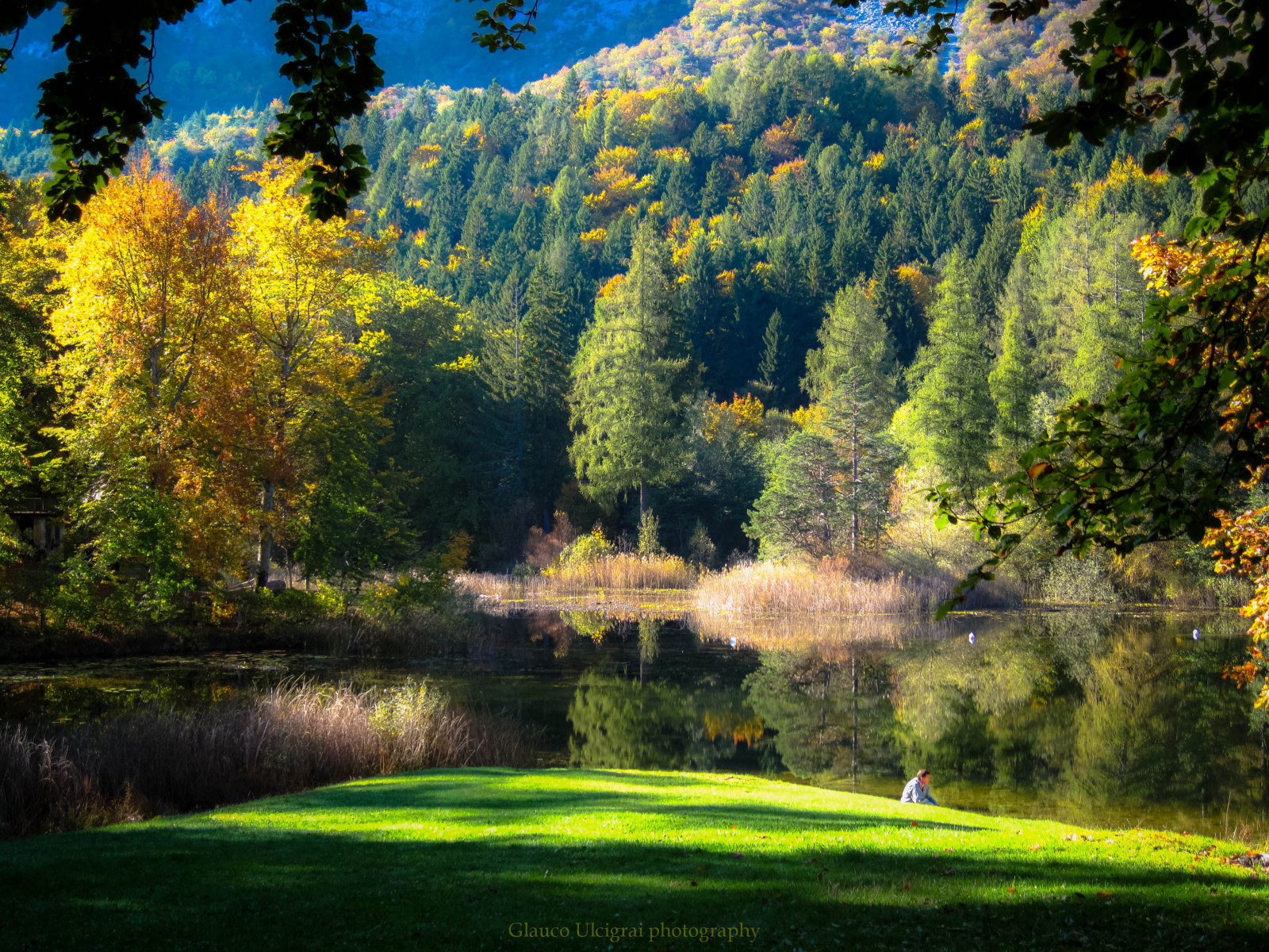 Sfondi : paesaggio, foresta, giardino, lago, natura, riflessione, erba ...