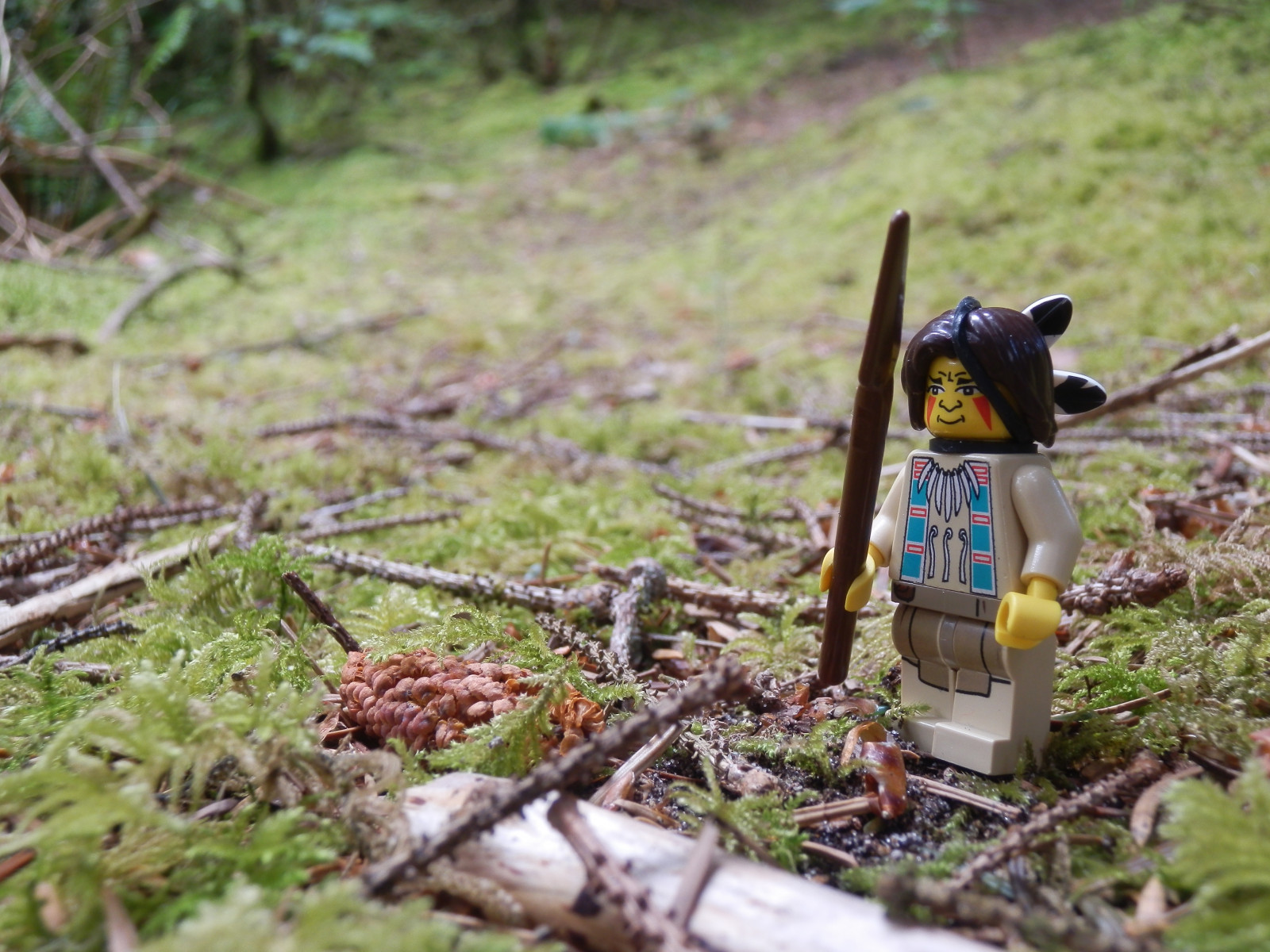 Wallpaper : door, green, out, outside, photography, photo, LEGO, image ...