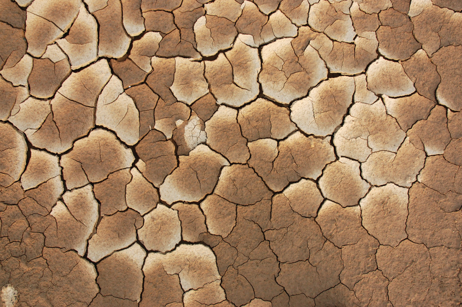 Masaüstü : Kaya, Arnavut kaldırımı, ahşap, Desen, doku, Tuğla, SANAT ...