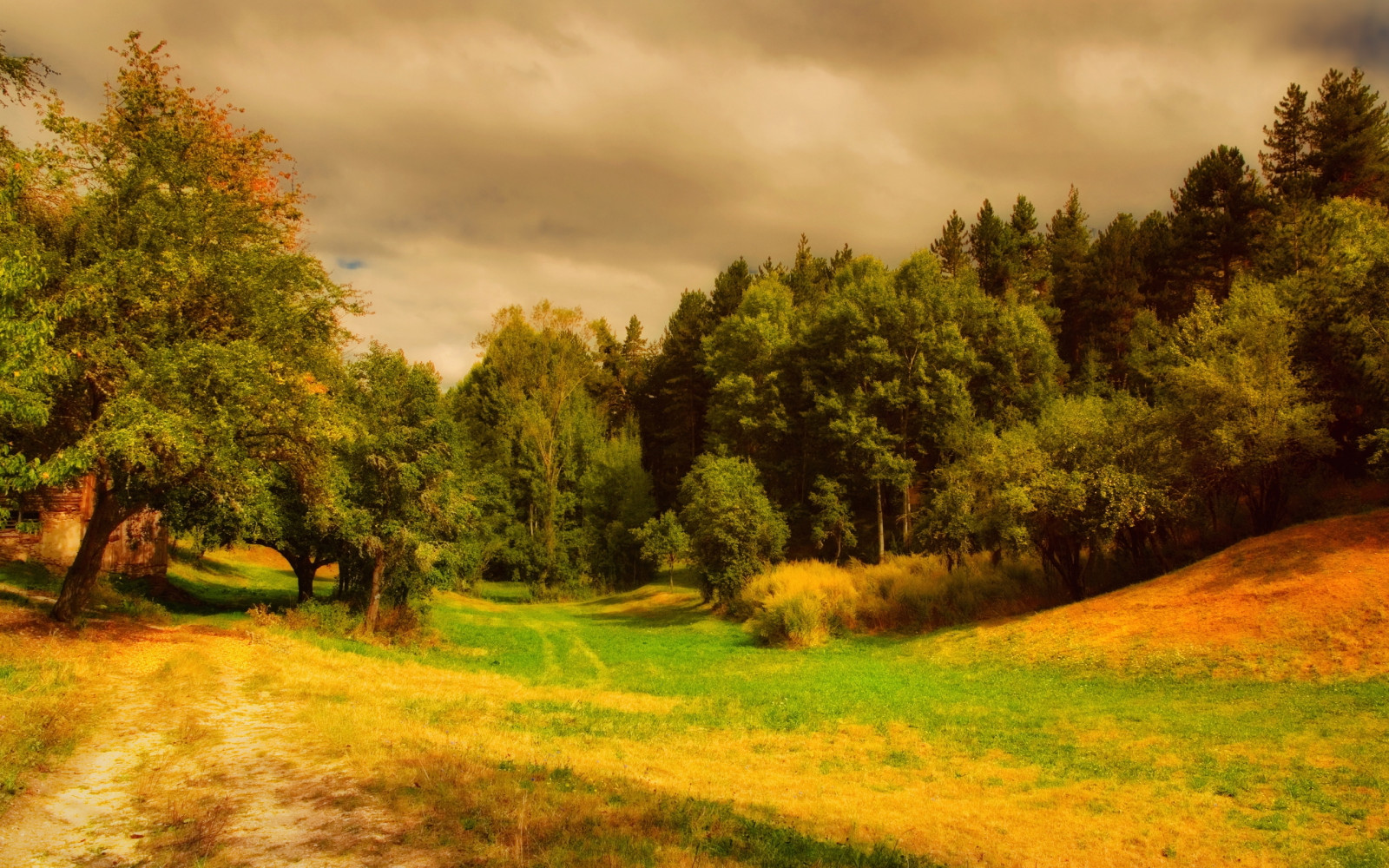 Wallpaper : padang rumput, awan-awan, kuning, hijau, pohon, jalan ...