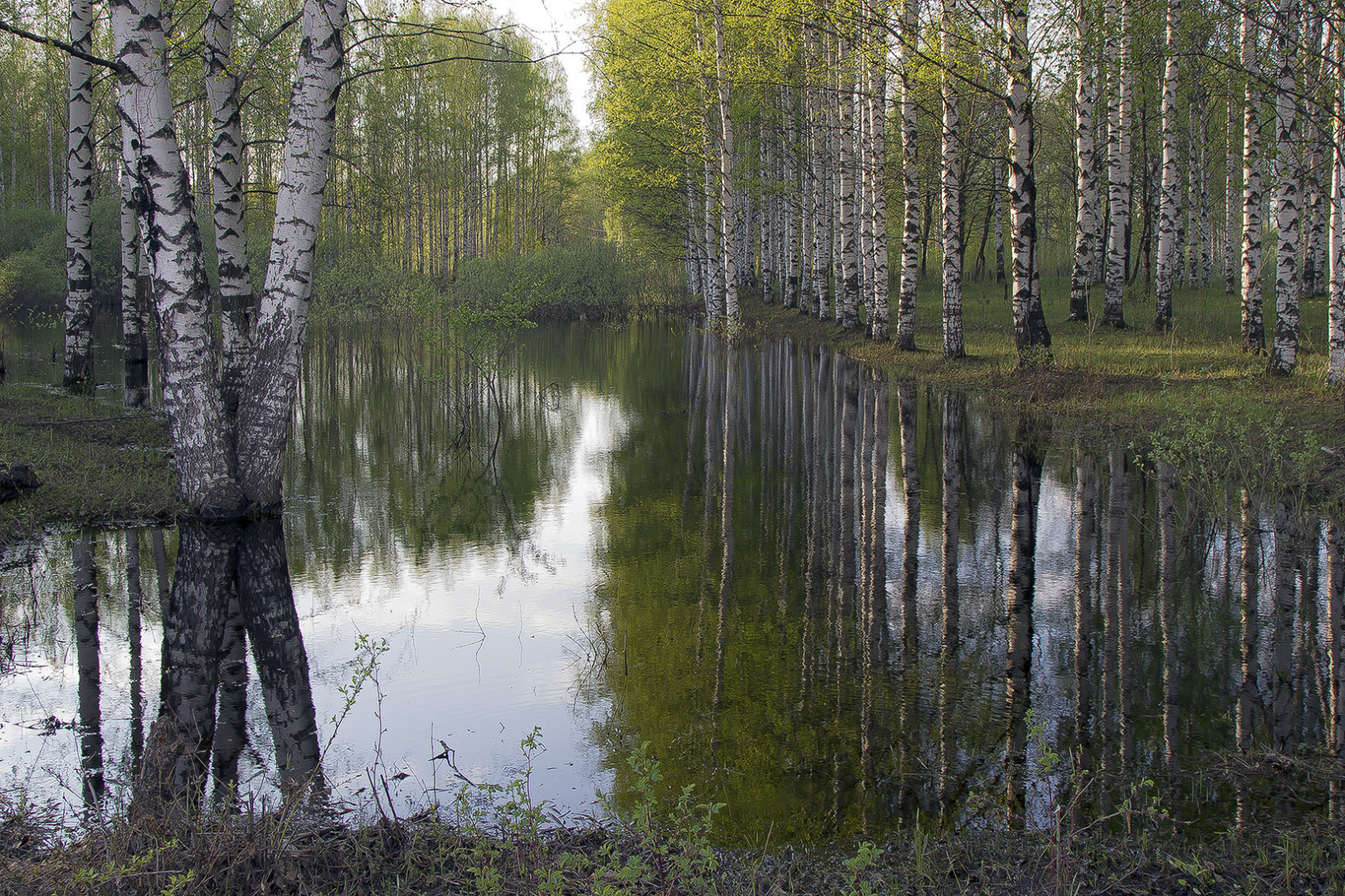 Obrázky na plochu : svetlo, primavera, príroda, voda, les, kanonik ...