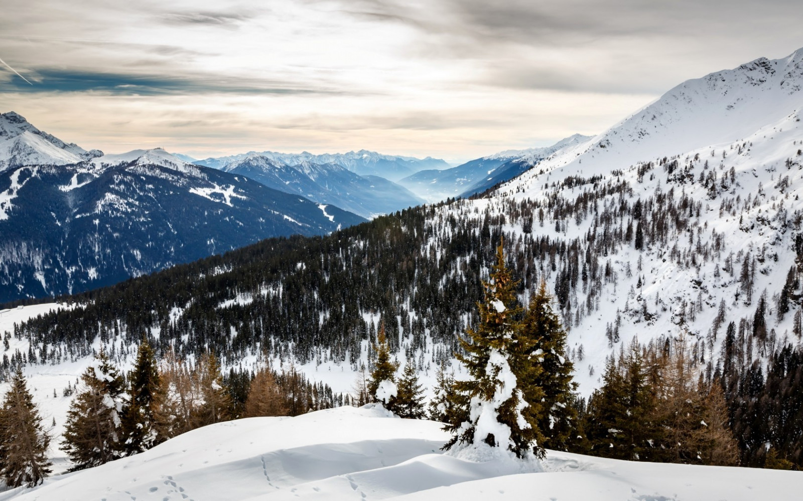Achtergronden : bomen, landschap, bergen, natuur, sneeuw, winter, Alpen ...