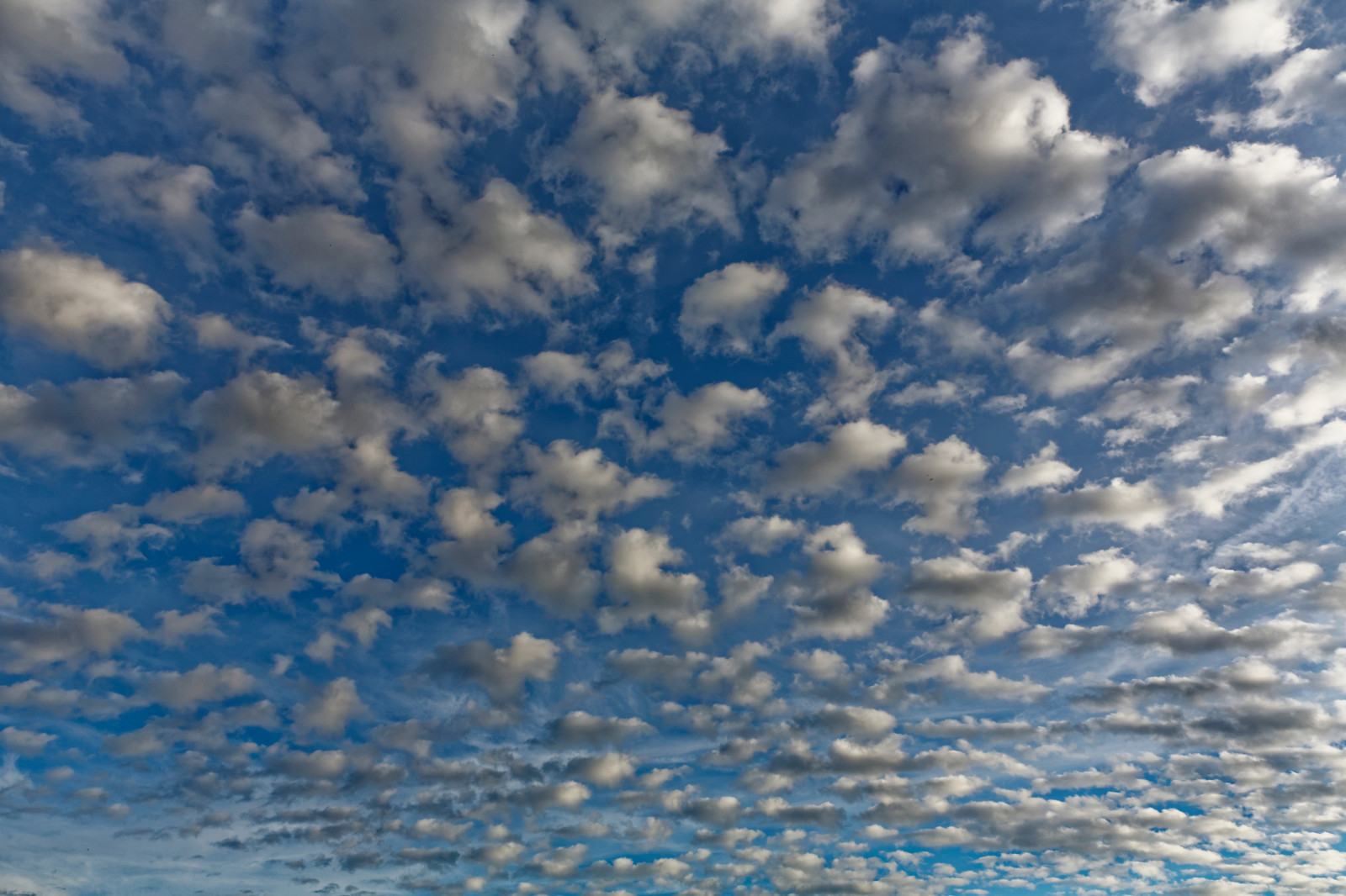 Masaüstü : bulut, ev, doğa, atmosfer, Mavi gökyüzü, bulutlu hava, Bulut ...