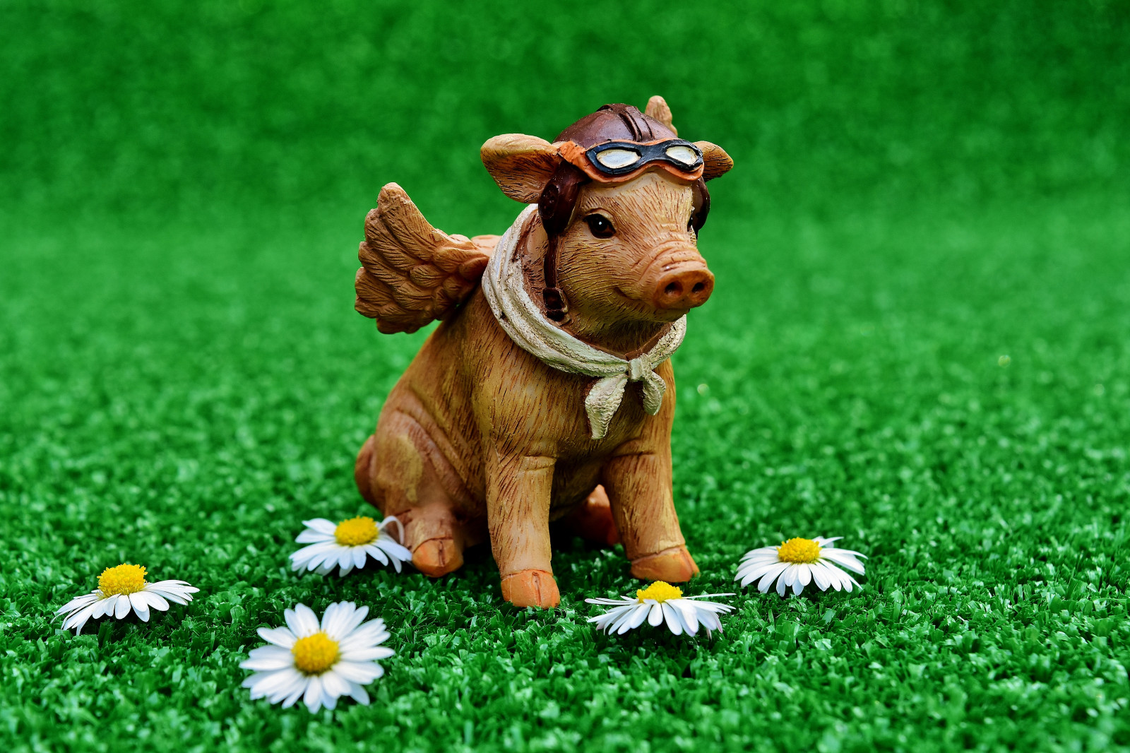 Wallpaper : pig, pilot, statuette 6000x4000 - goodfon - 1180514 - HD ...