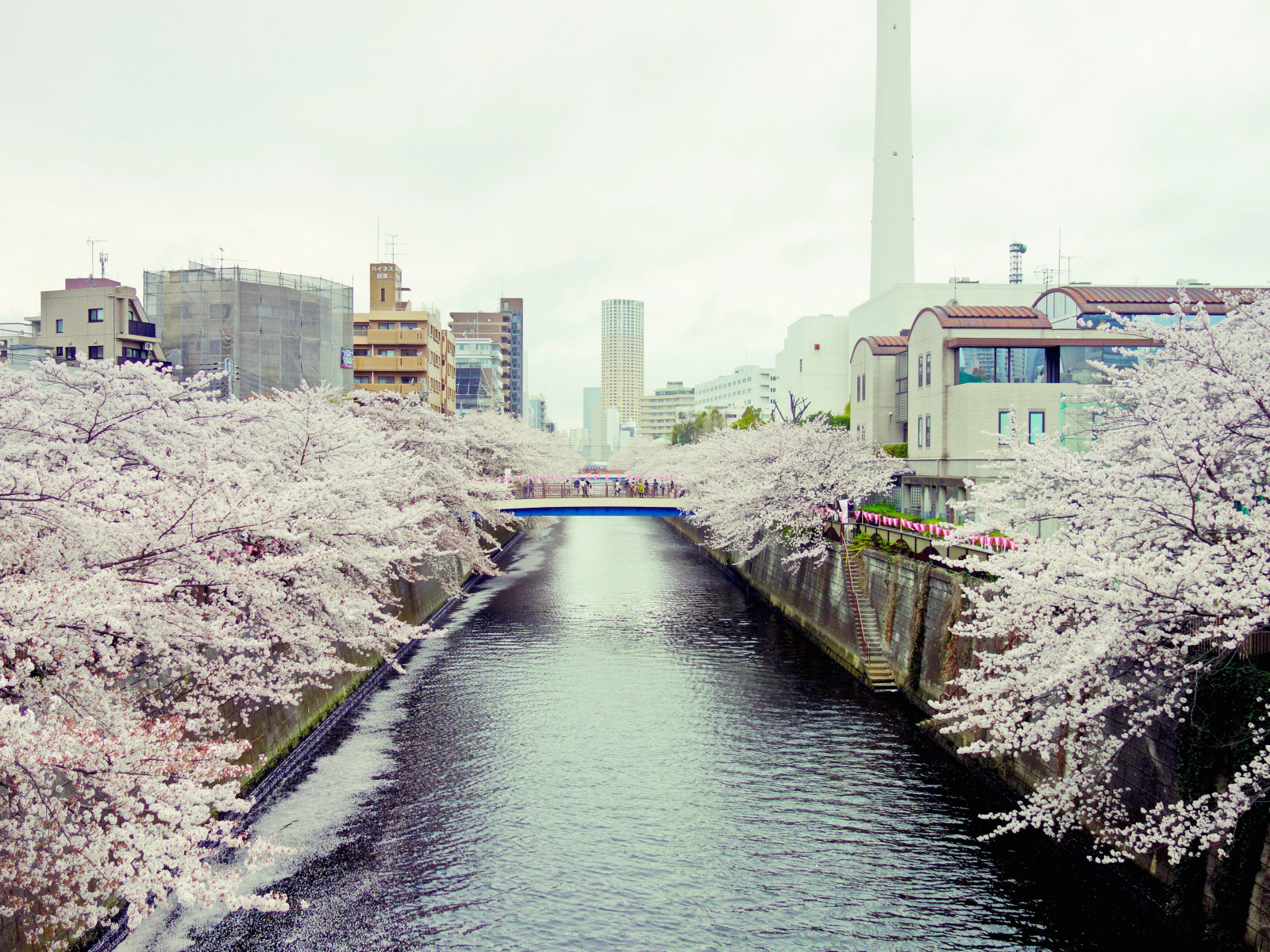 Wallpaper : Japan, city, cityscape, snow, winter, bridge, river ...