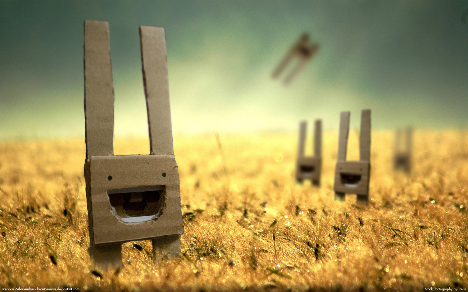 Wallpaper : 1920x1200 px, cardboard, grass, green, happy, rabbits, Sun ...