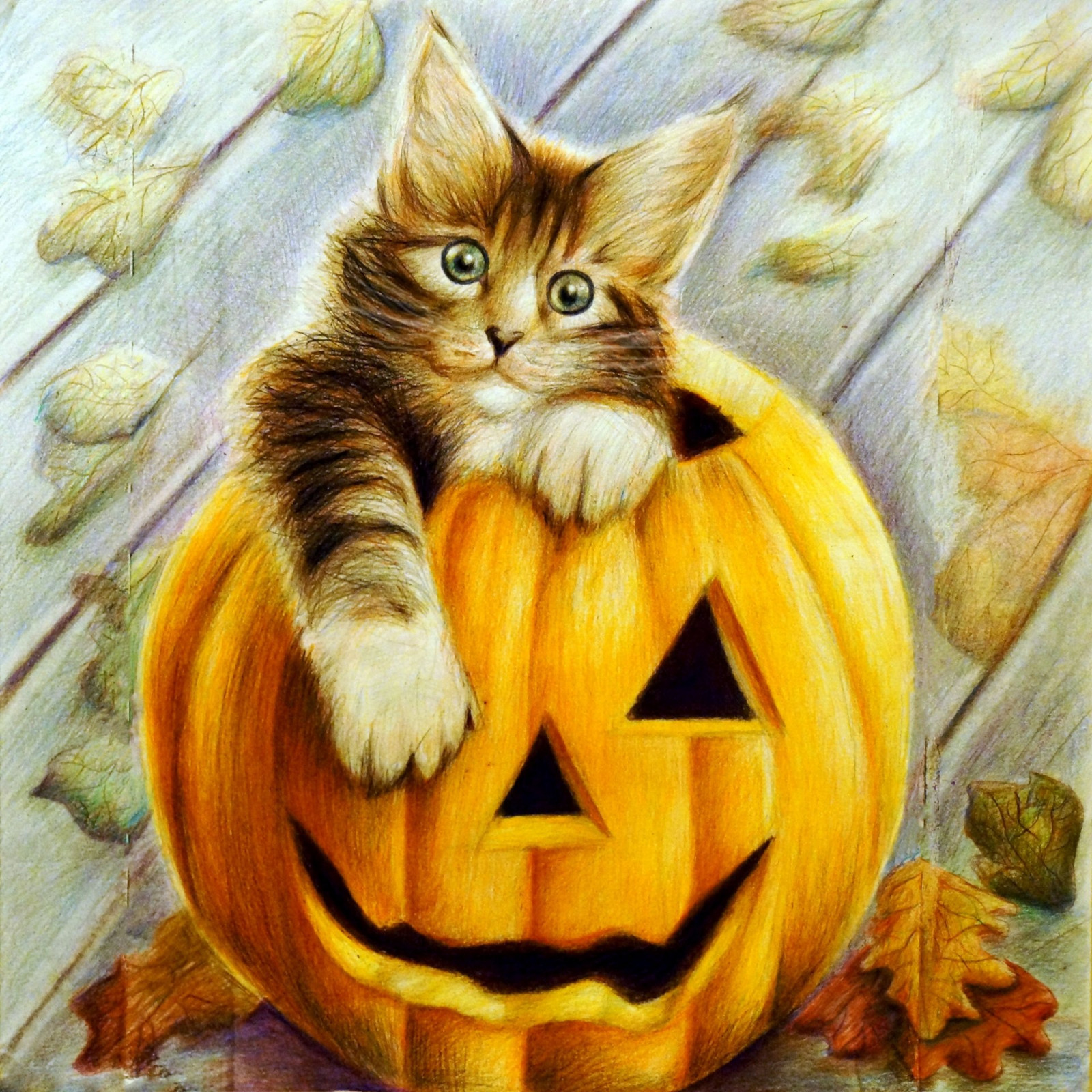 Obrázky na plochu : 1920x1920 px, zver, ART, mačky, Halloween, maľba ...