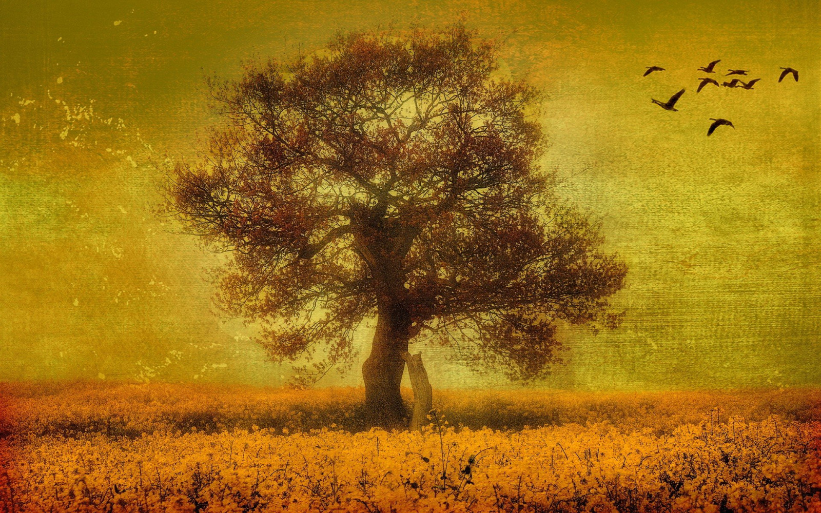Wallpaper : 1920x1200 px, karya seni 1920x1200 - CoolWallpapers ...