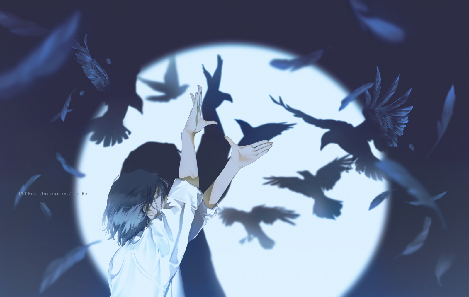 Hình nền : Ký tự gốc, con quạ, Chim, động vật, Lông vũ, bóng, Anime cô ...