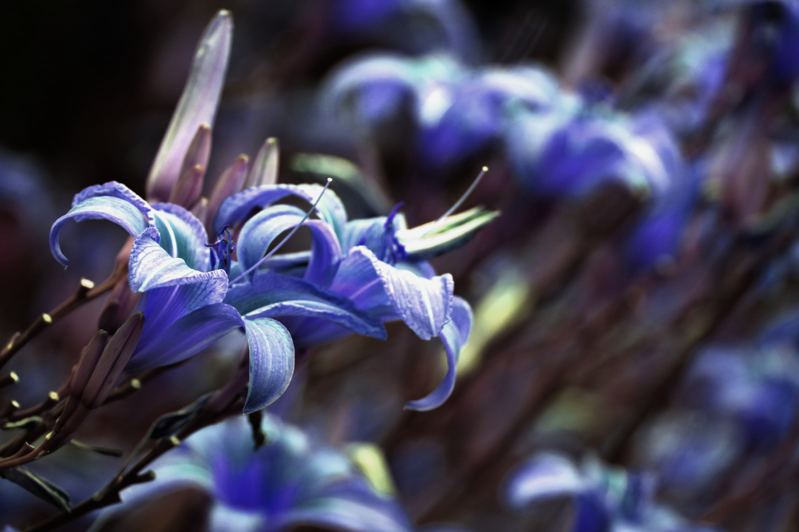 Wallpaper : biru, alam 6000x4000 - Ulexcool - 1423235 - HD Wallpapers ...