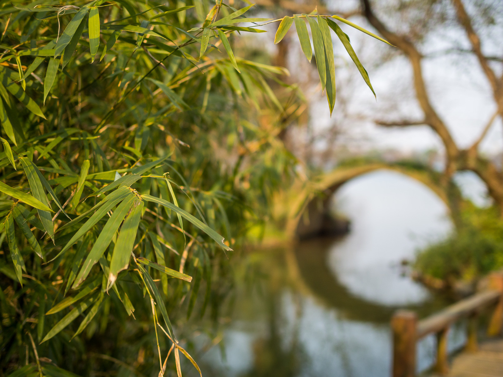 วอลเปเปอร์ : หางโจว, จีน, xihu, ทะเลสาบ, น้ำ, วัน, ไม้ไผ่, ต้นไม้, dof ...