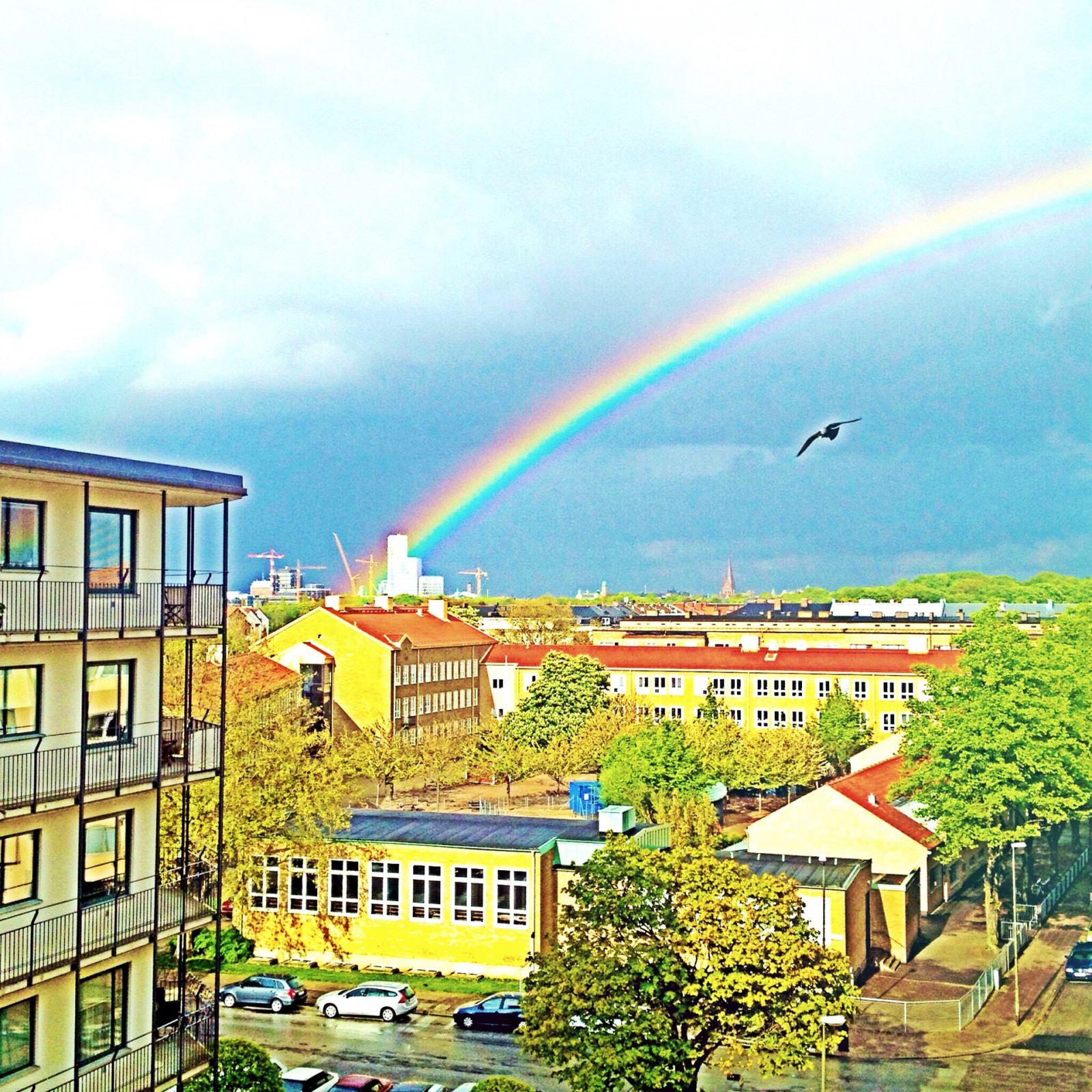 Wallpaper : cityscape, stadium, structure, rainbow, residential area ...