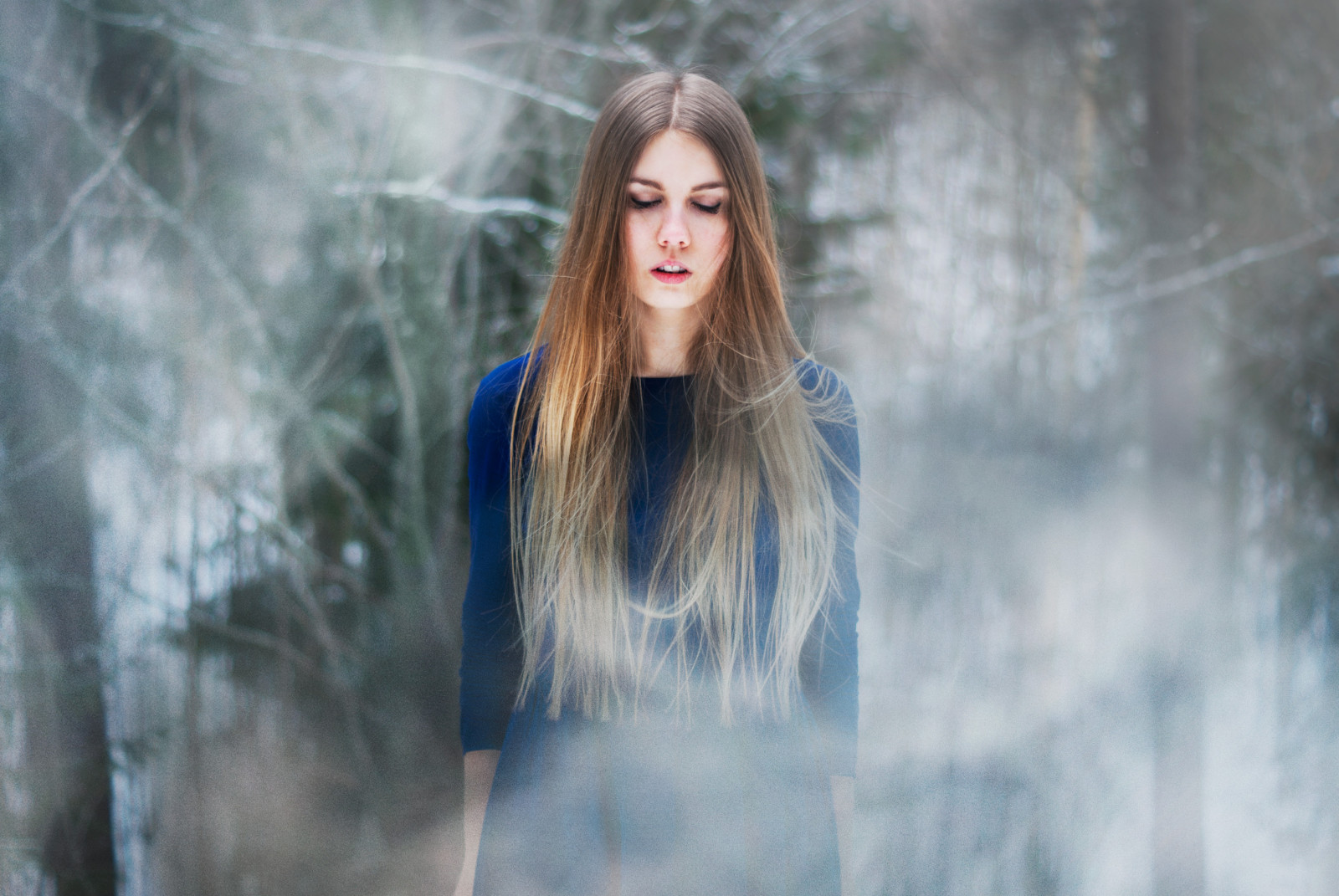 Wallpaper : trees, forest, model, portrait, blonde, long hair, snow ...