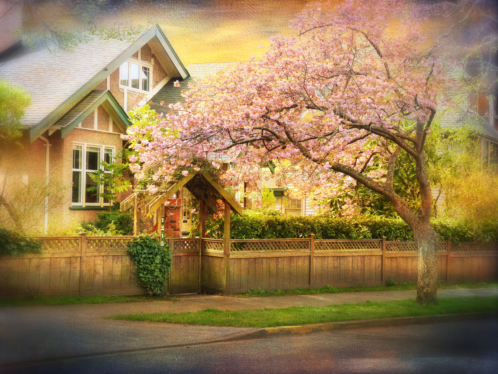 Tapety : strom, jaro, květ, duben, sakura, victoriabc, Rockland, motat ...