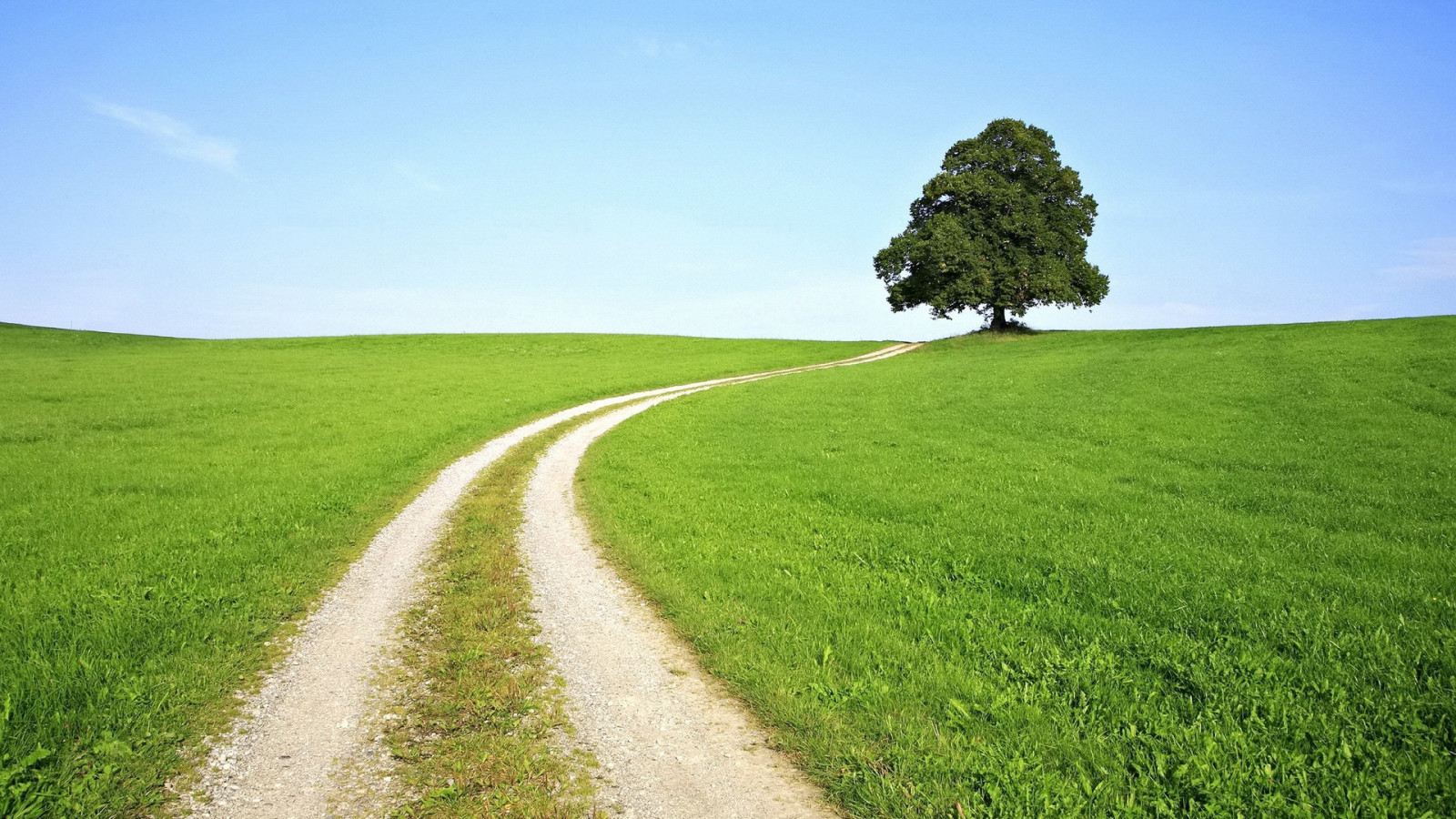 Sfondi : paesaggio, collina, natura, campo, verde, strada sterrata ...
