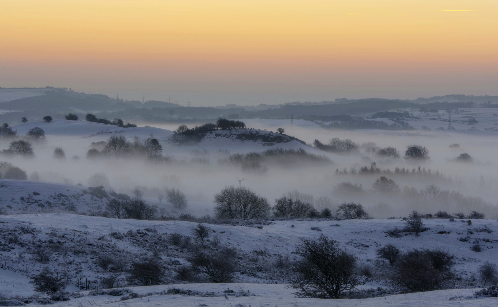Wallpaper : UK, trees, winter, sky, mist, snow, ice, nature, weather ...