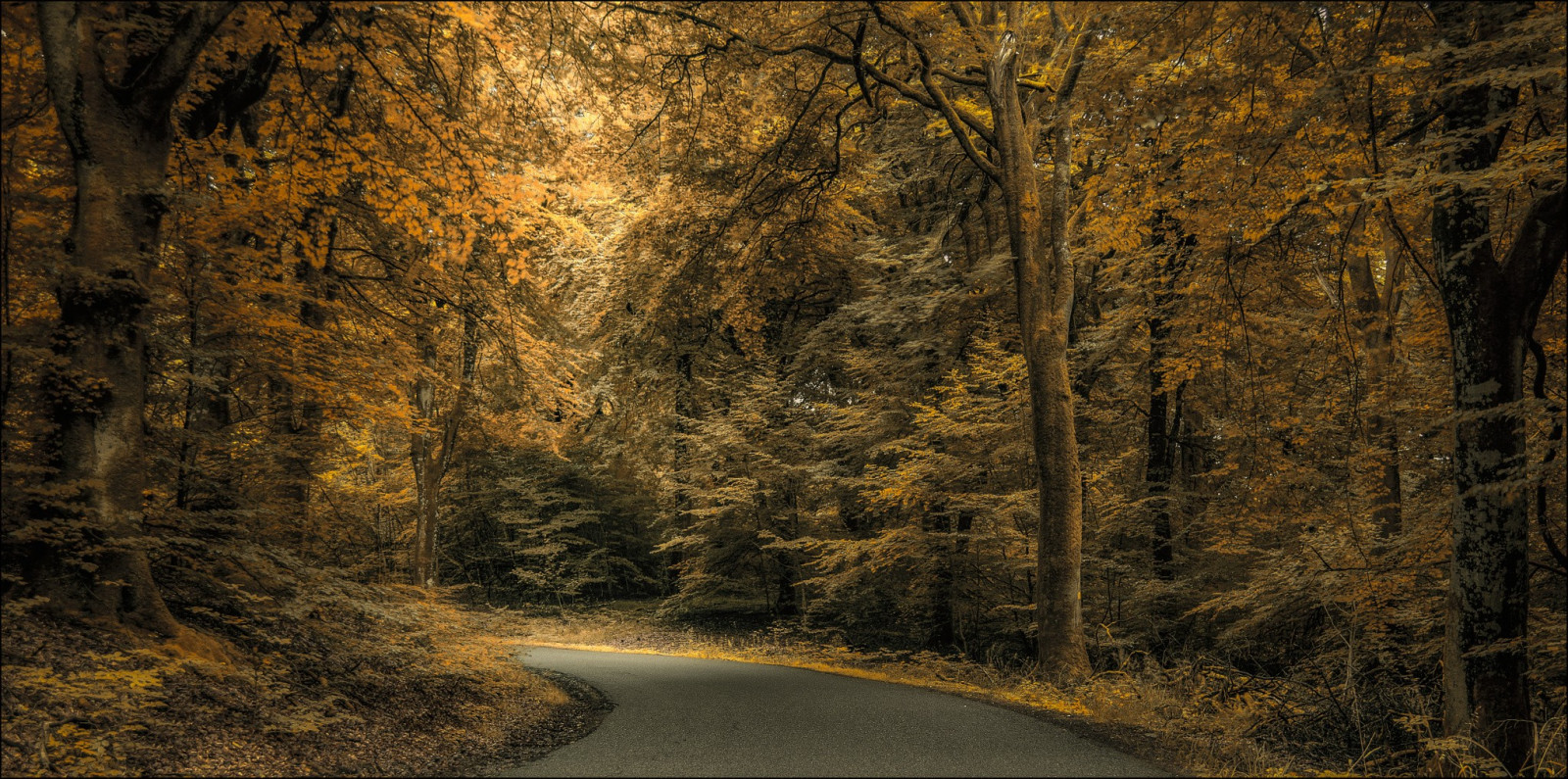 Wallpaper Sunlight Trees Landscape Forest Fall Rock Nature Sky