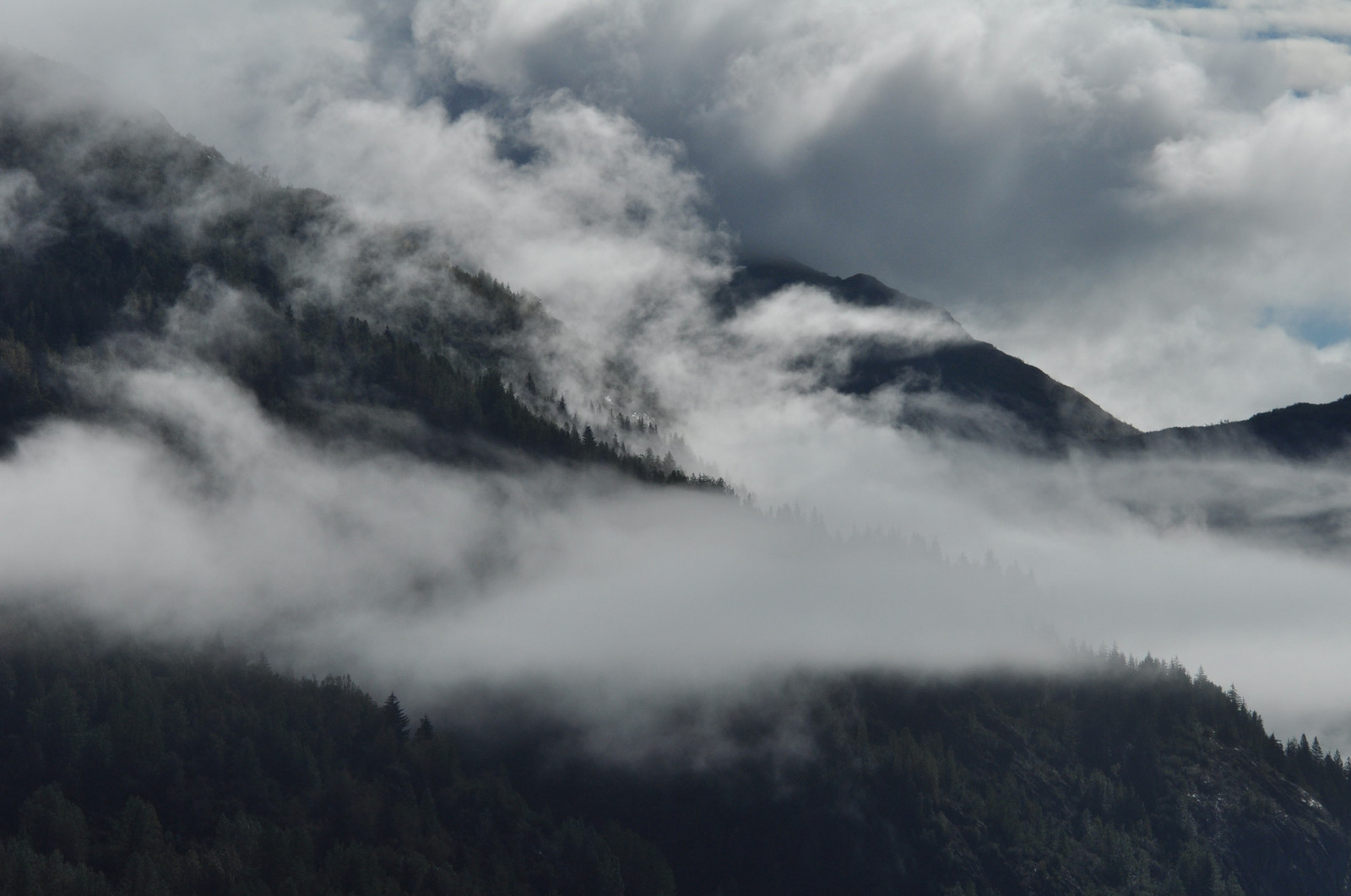 Wallpaper : mountains, mist, clouds, pine trees 4288x2848 - bdgaylord ...