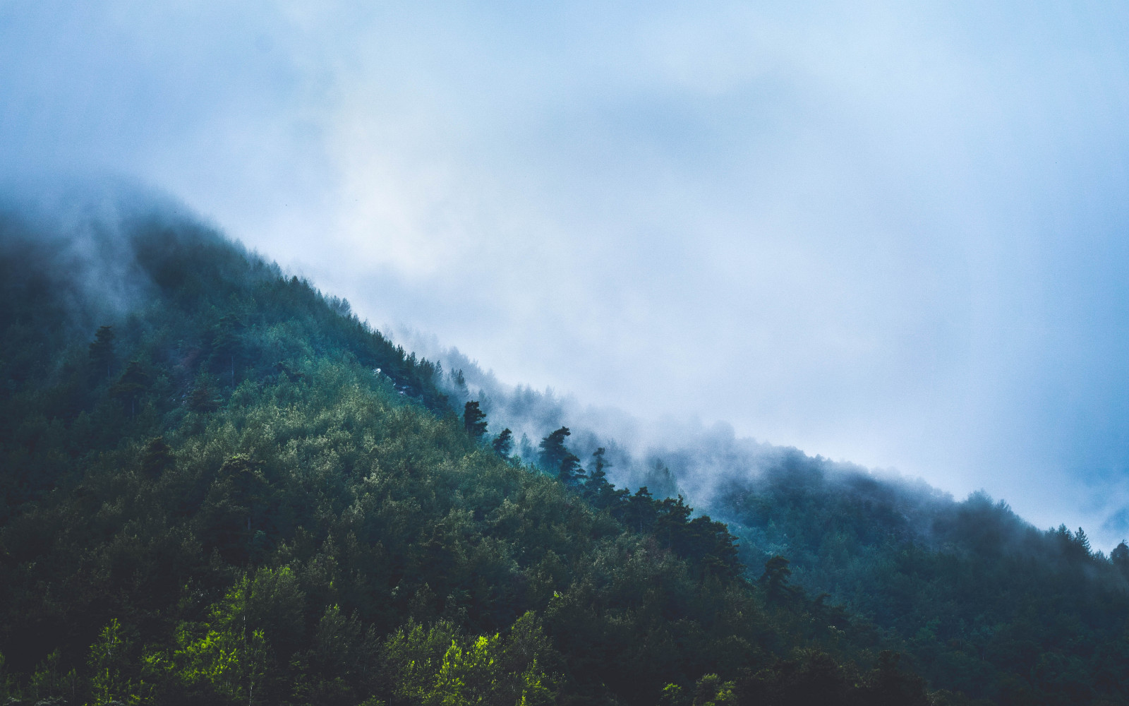 Wallpaper : pemandangan, hutan 6000x3750 - TheAWPMasterx - 1782177 - HD ...