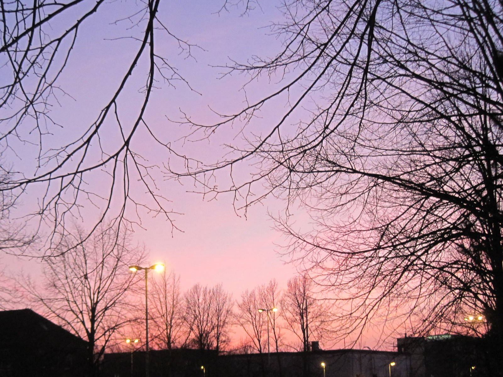 Wallpaper : sunset, orange, outside, sonnenuntergang, outdoor, rosa ...