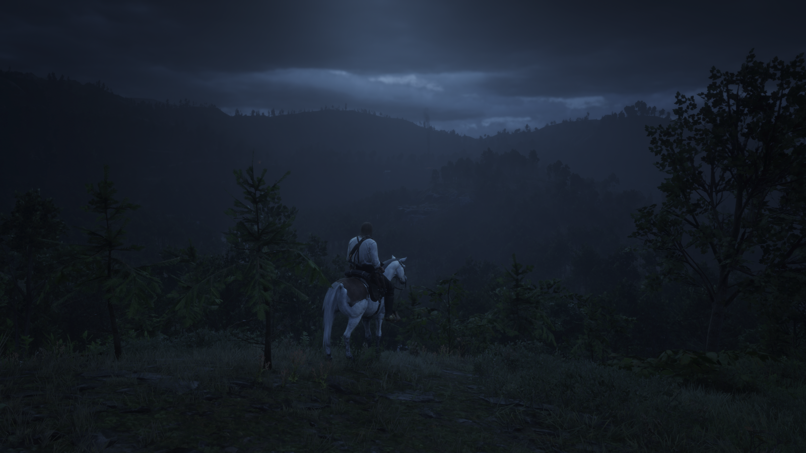 Wallpaper : RDR2, Red Dead Redemption 2, screen shot, video games ...