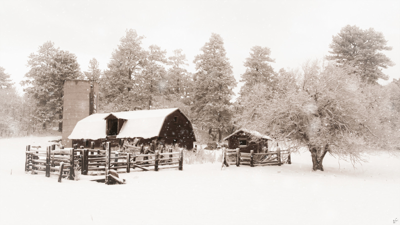 Winter Farm Landscapes