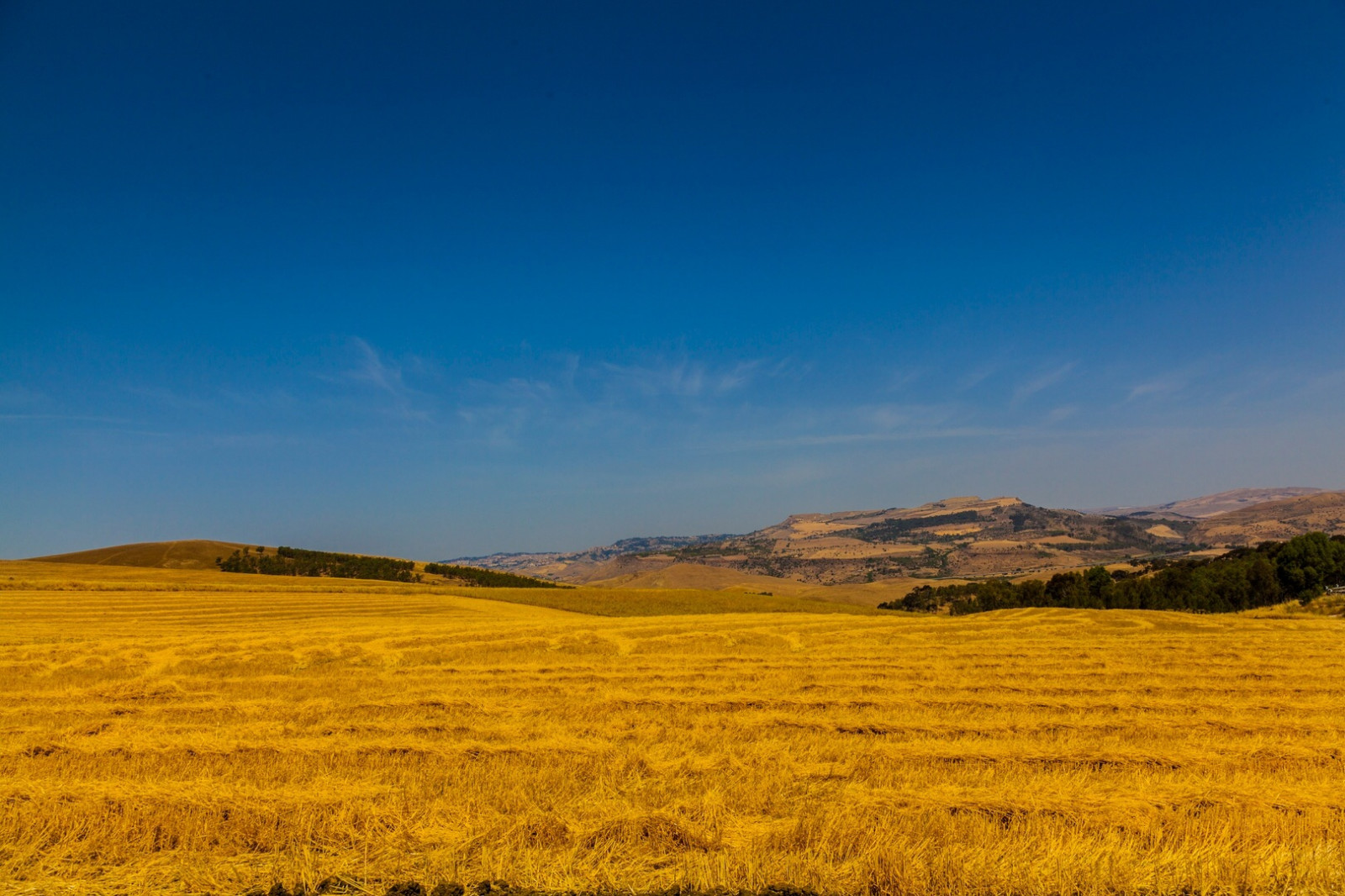 Sfondi : luce del sole, Italia, collina, cielo, giallo, mattina ...