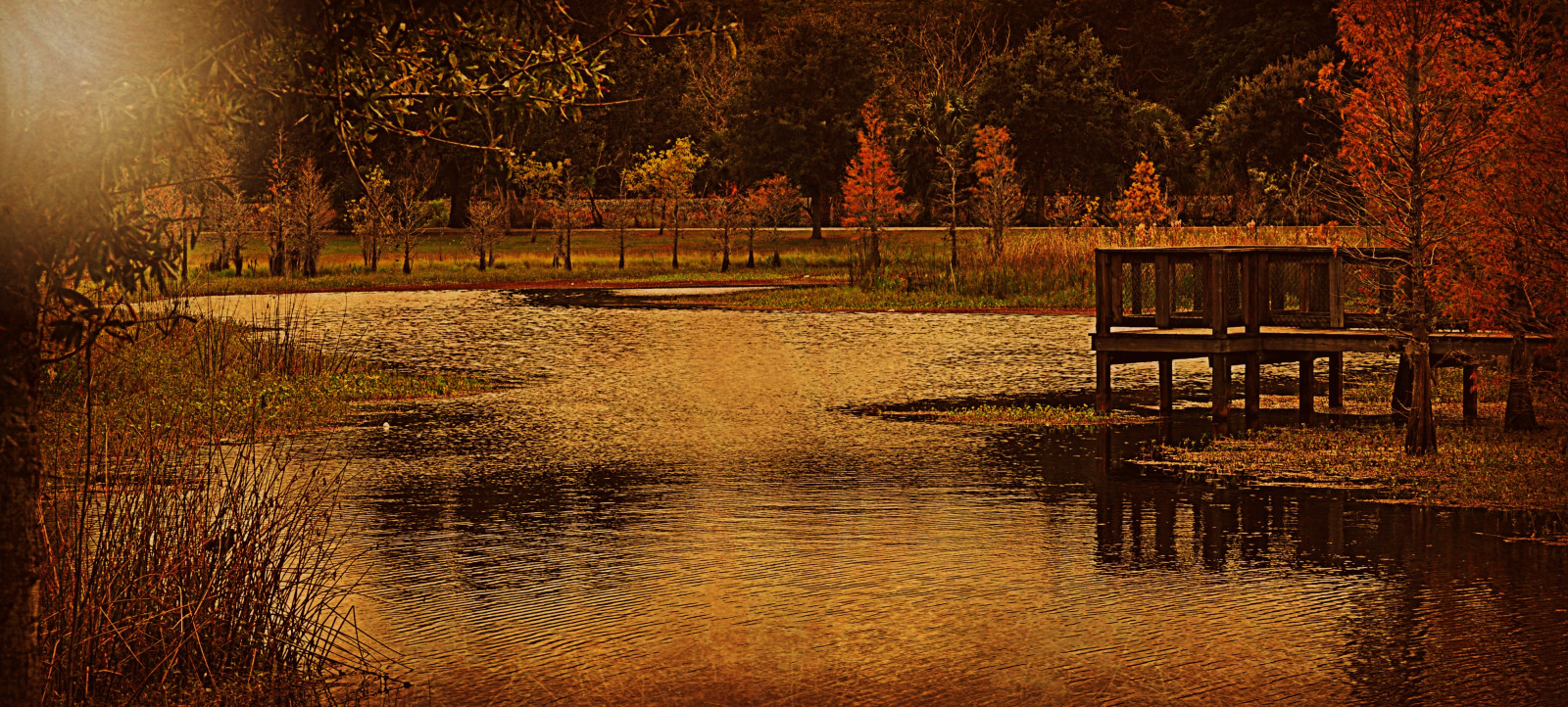 Wallpaper : sunlight, trees, landscape, fall, night, lake, water ...