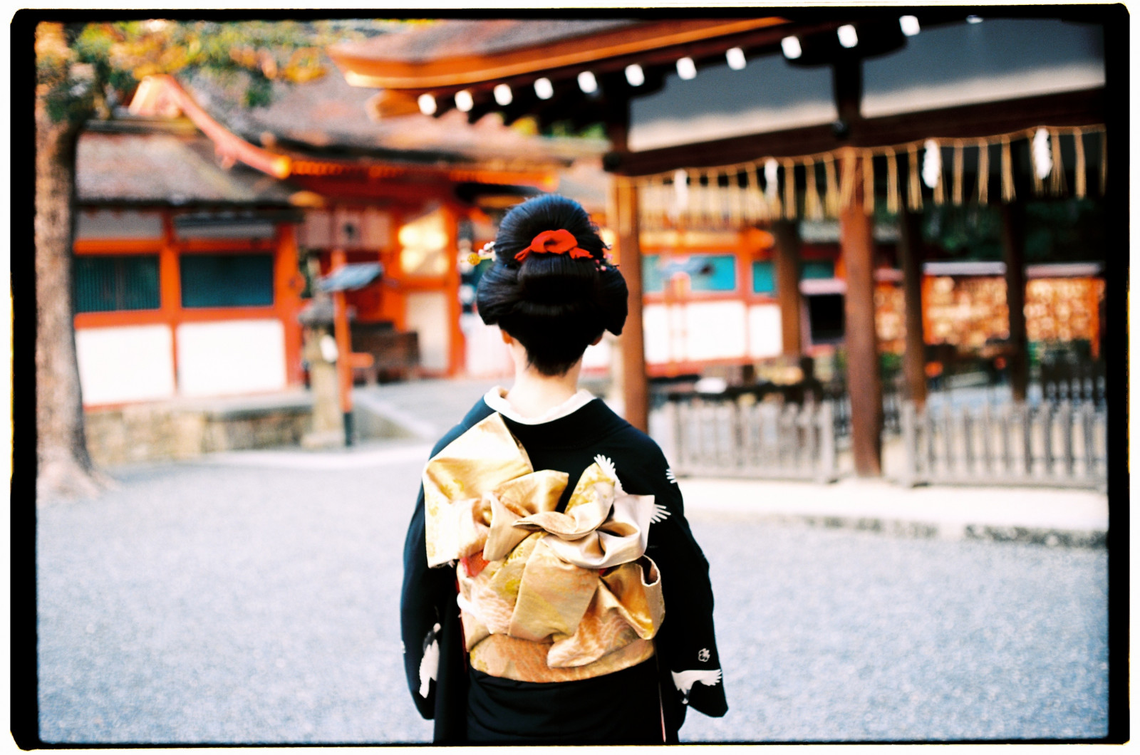 Wallpaper Japan Temple Kimono Kodak 50mm Girl Woman Photograph