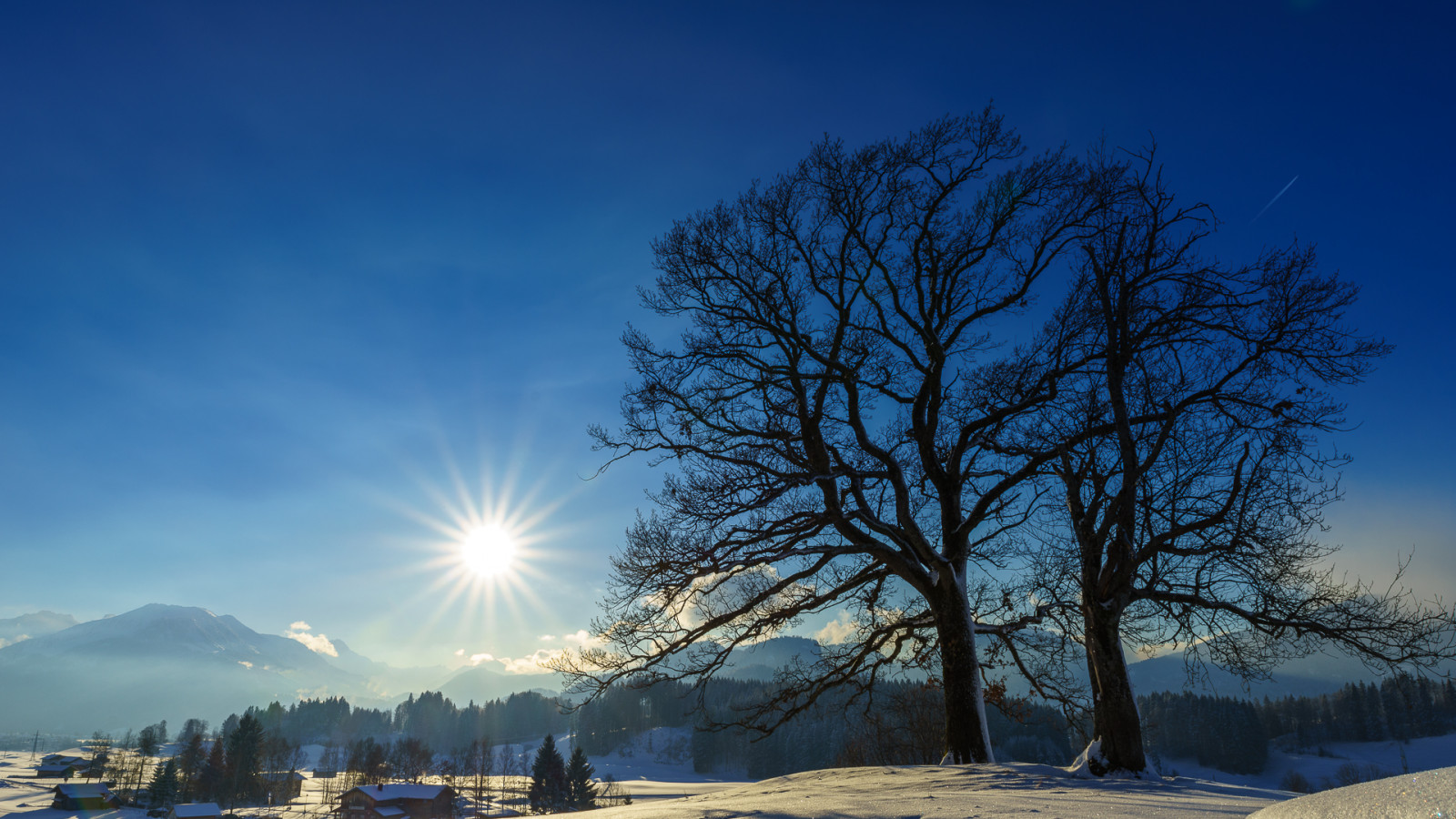 Wallpaper : winter, snow, Sun, sunshine, allgau, tree, panorama, sunset ...