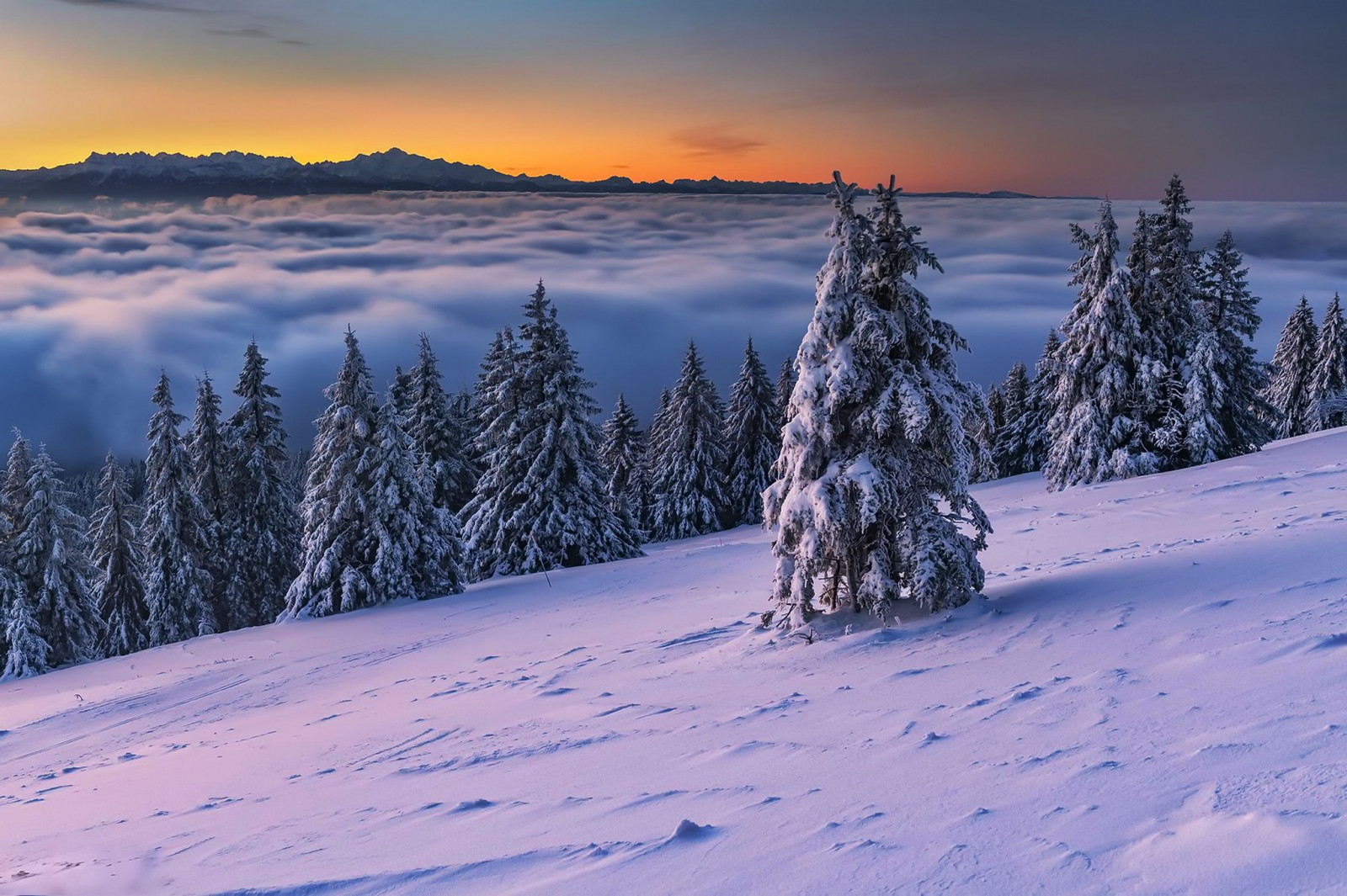Wallpaper : winter, snow, nature, landscape, outdoors, trees 2048x1364 ...