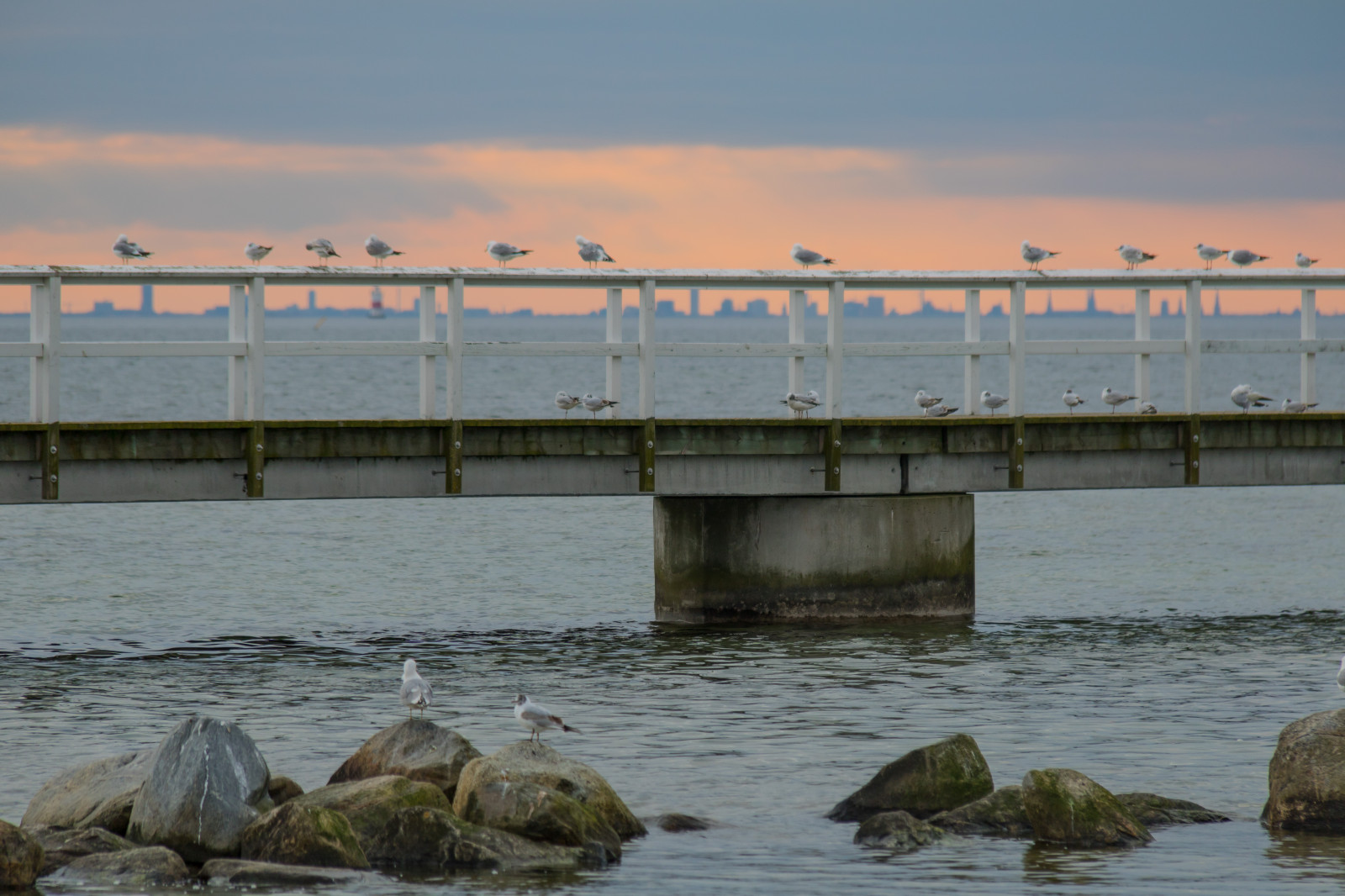วอลเปเปอร์ : ทะเล, การสะท้อน, ชายฝั่ง, สะพาน, แม่น้ำ, ท่าเรือ, นก ...
