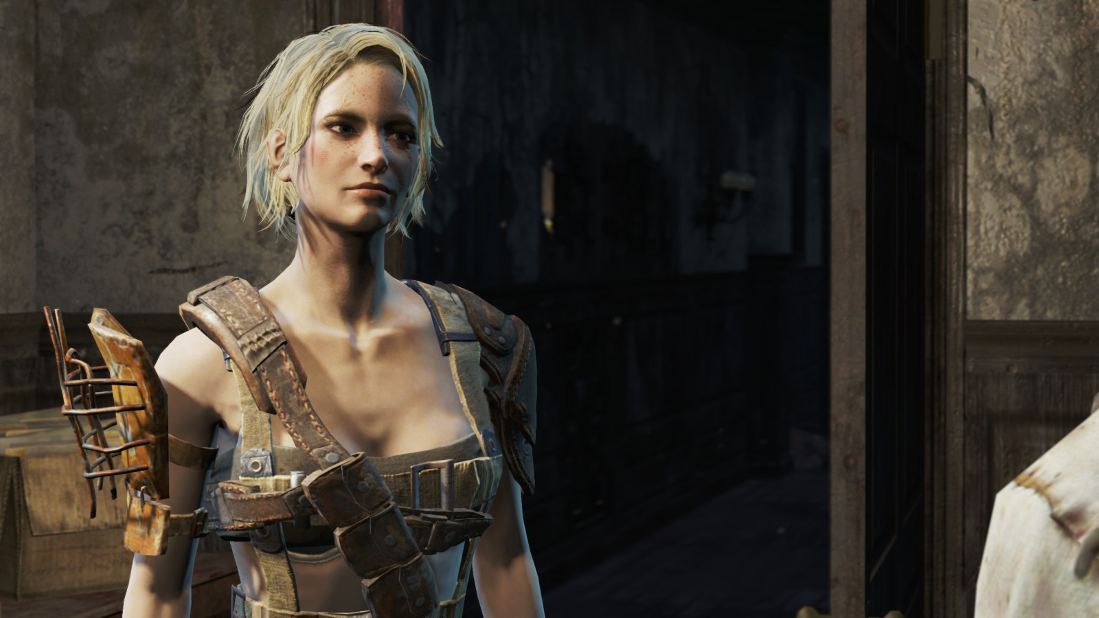 Wallpaper : Fallout, 4, girl, screenshot 2560x1440 - - 859296 - HD ...