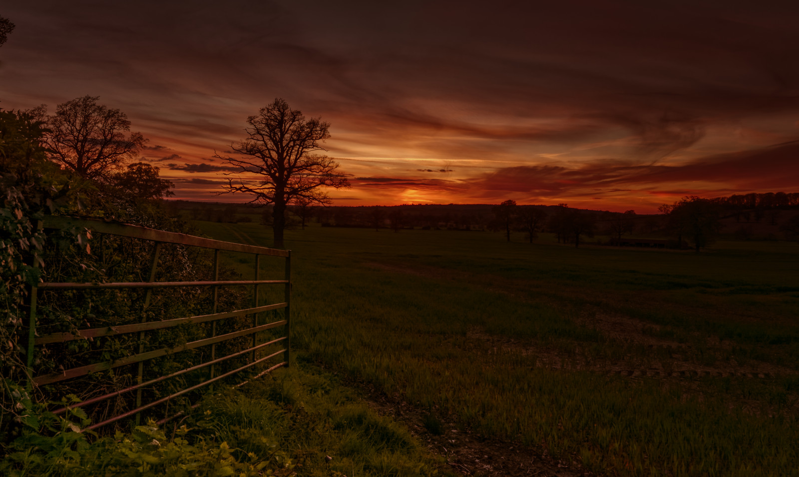 Wallpaper : sunlight, trees, landscape, sunset, hill, nature, grass ...