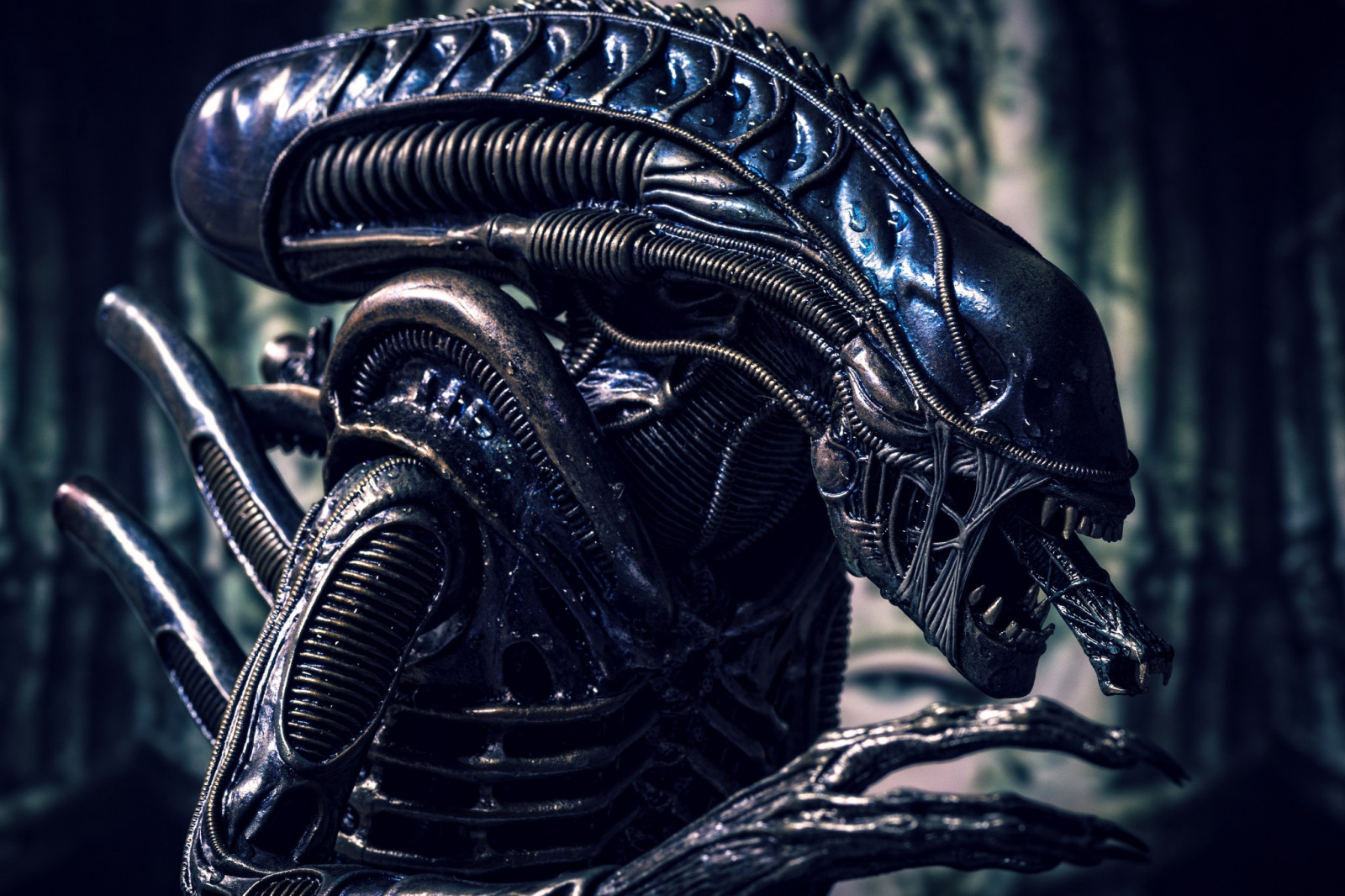 Wallpaper : Xenomorph, aliens, movies 2048x1365 - WallpaperManiac ...