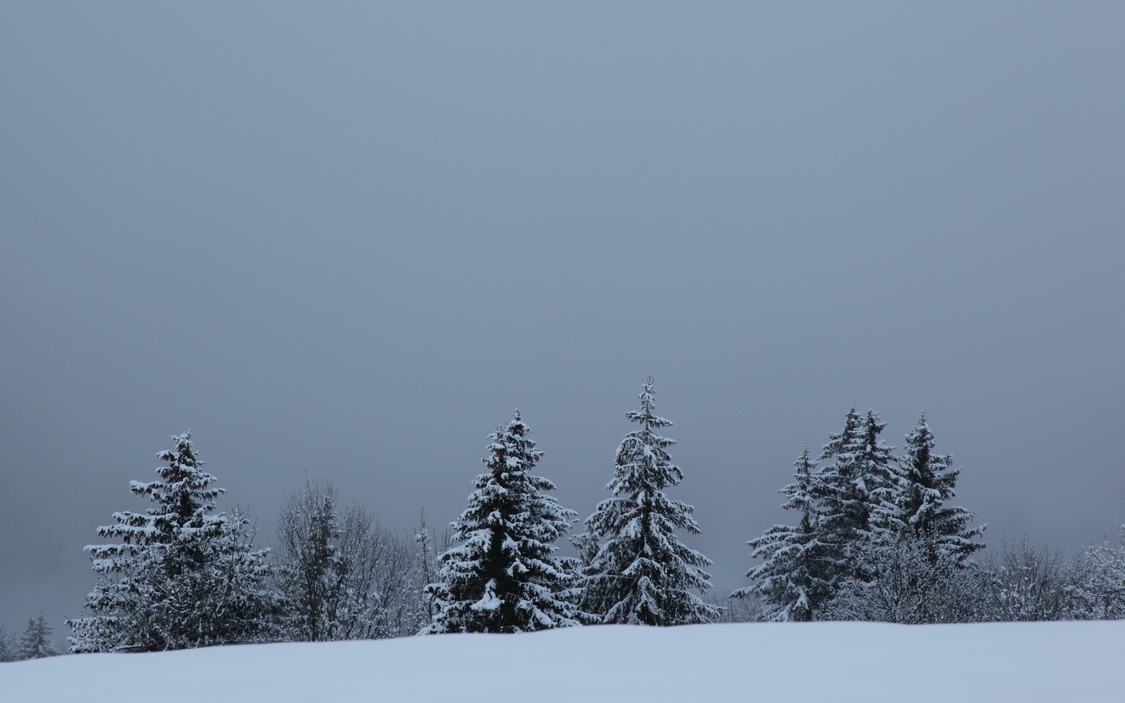 Tapety : krajina, sníh, zima, zmrazení, strom, hora, počasí, sezóna ...