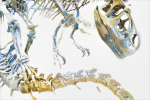 Wallpaper : 1600x1164 px, Alectrosaurus, ancient, and, animals ...