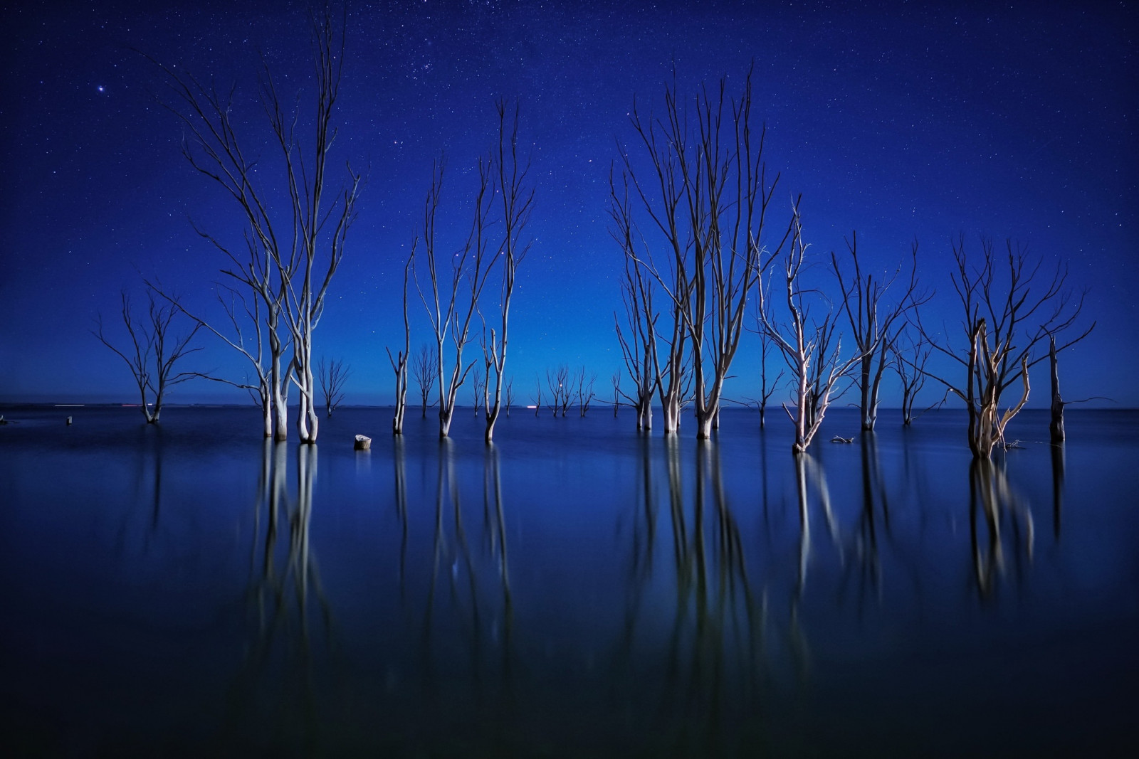 Wallpaper : alam, gelap, biru, air, pohon 2048x1366 - WallpaperManiac ...